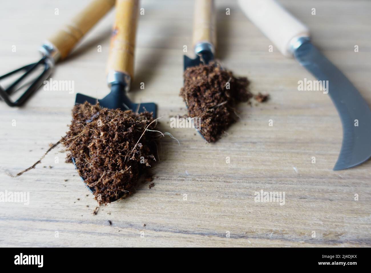 coco peat and gardening tools a table with copy space Stock Photo - Alamy