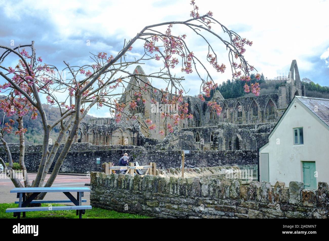 Tintern Abbey, Monmouthshire, South Wales Stock Photo - Alamy