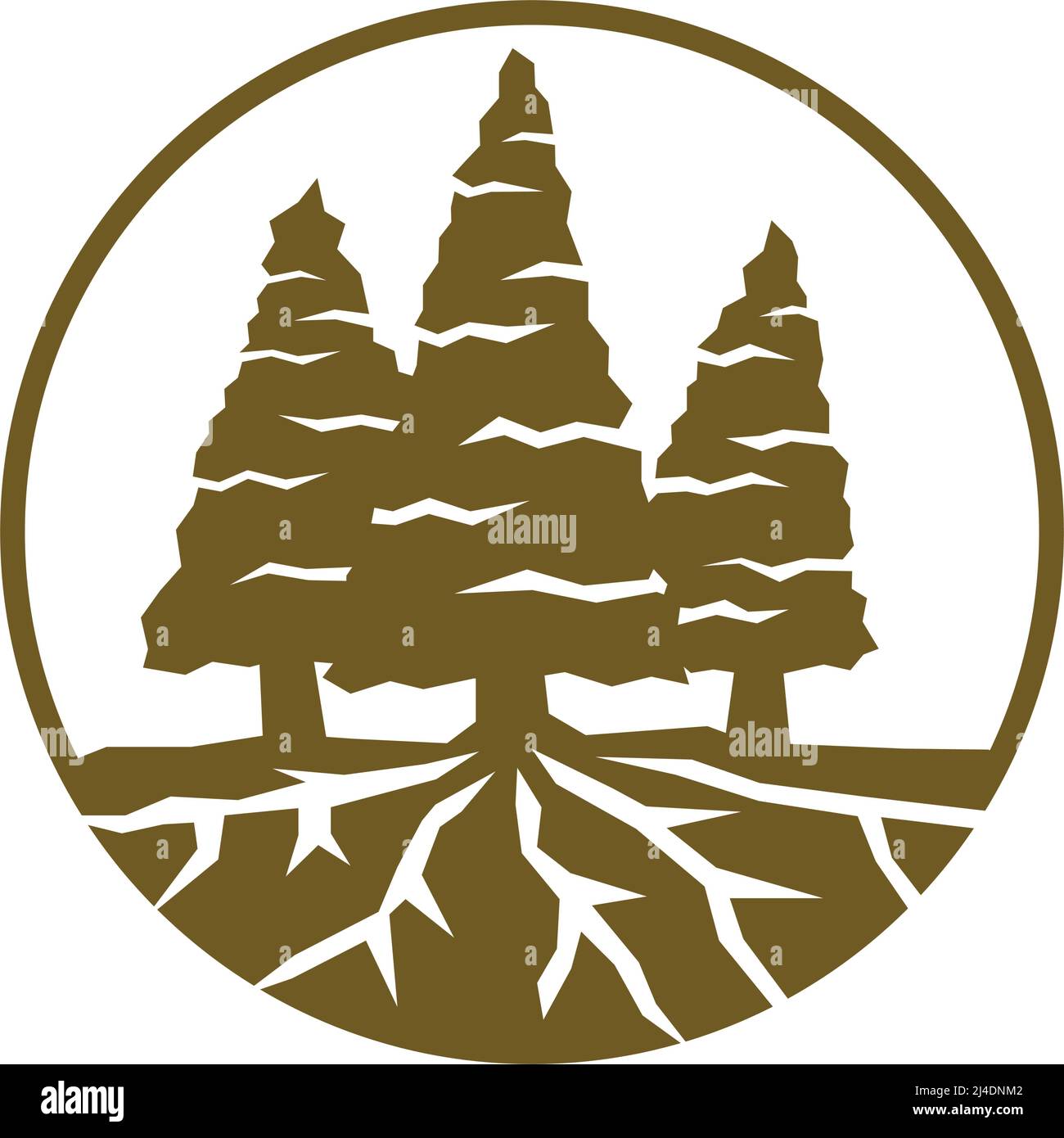 pine cedar tree with roots logo Icon Illustration Brand Identity Stock ...