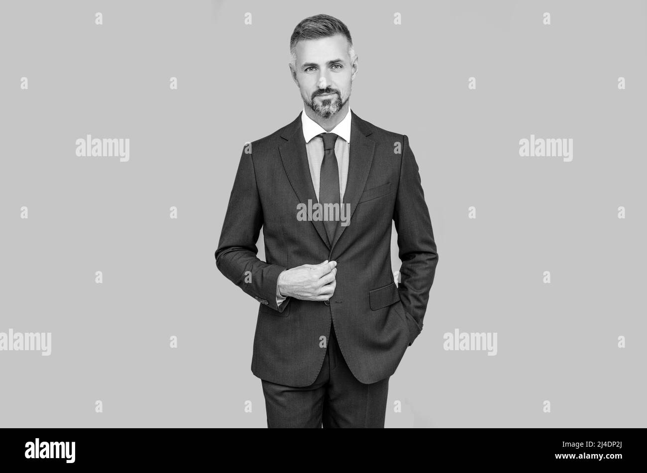 confident businessman man in businesslike suit, boss Stock Photo - Alamy