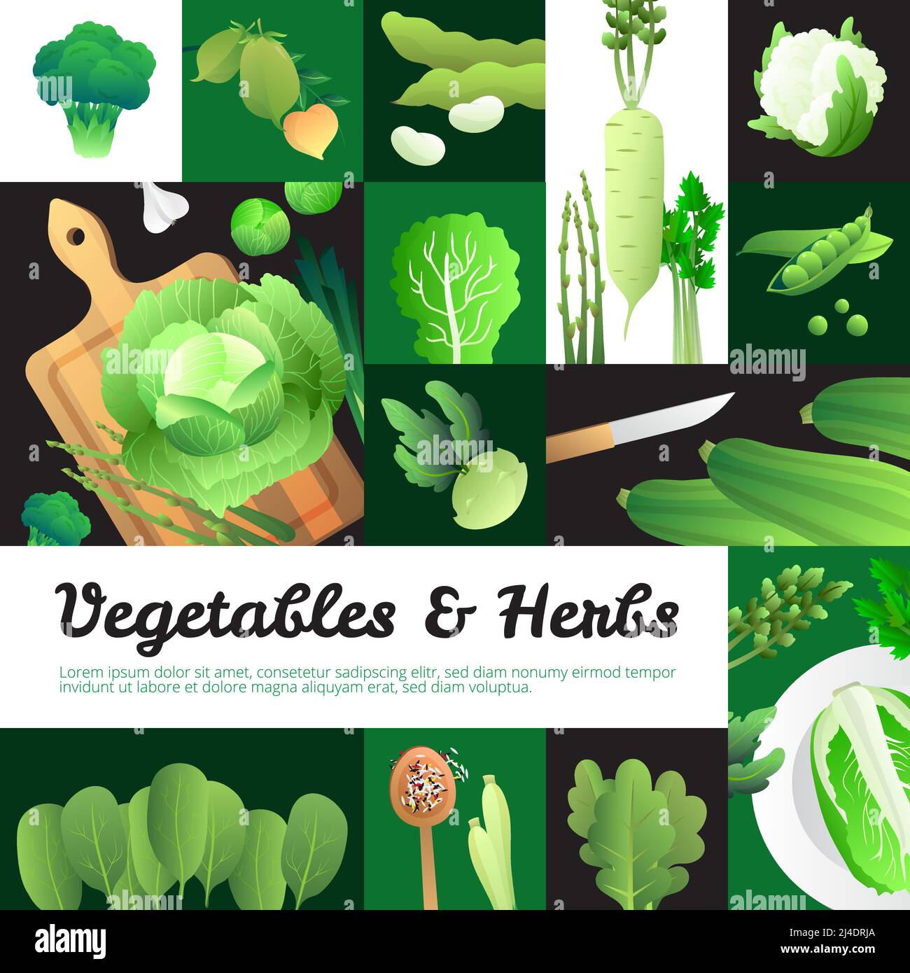 Vegetarian food banners composition poster with organic fresh cabbage ...