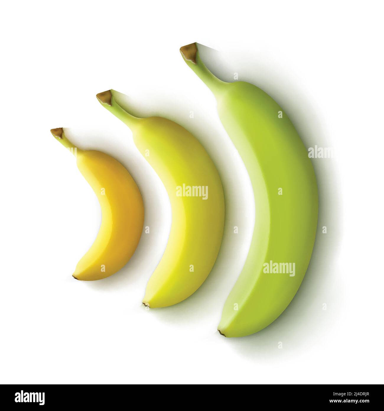 Bananas isolated background Stock Vector Images - Alamy
