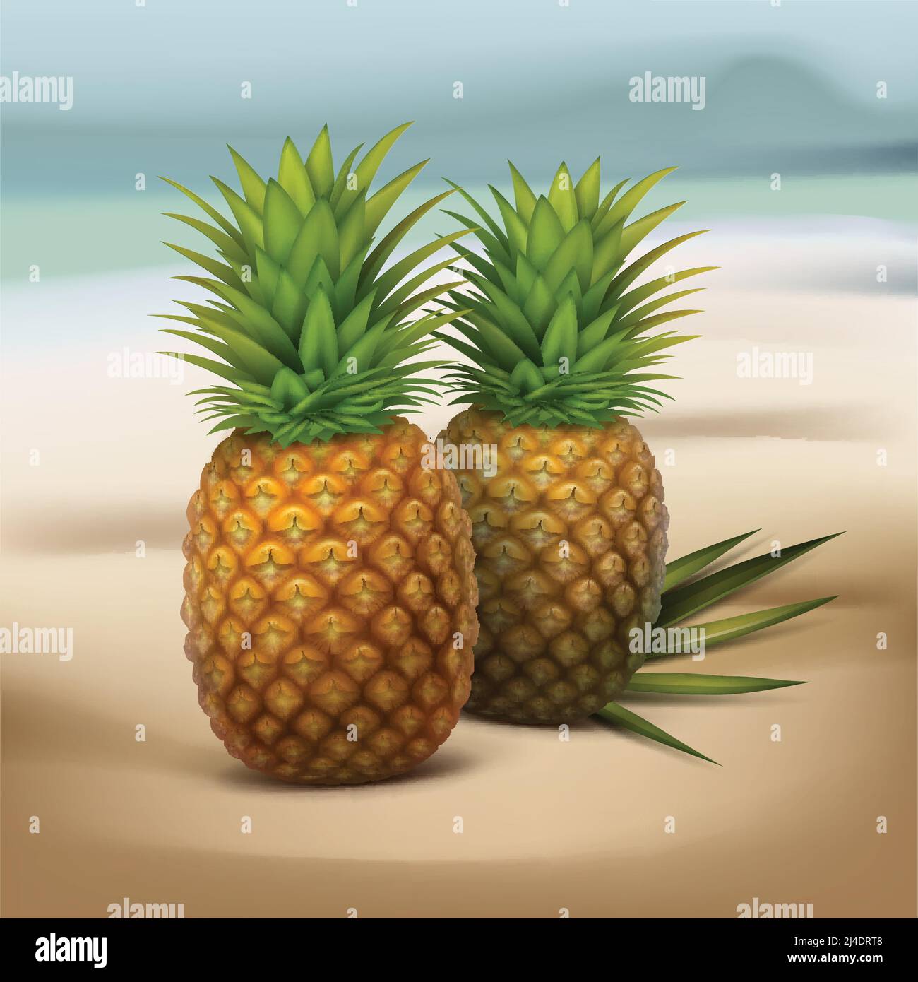 Vector two pineapples with green palm leaf isolated on blur seaside ...