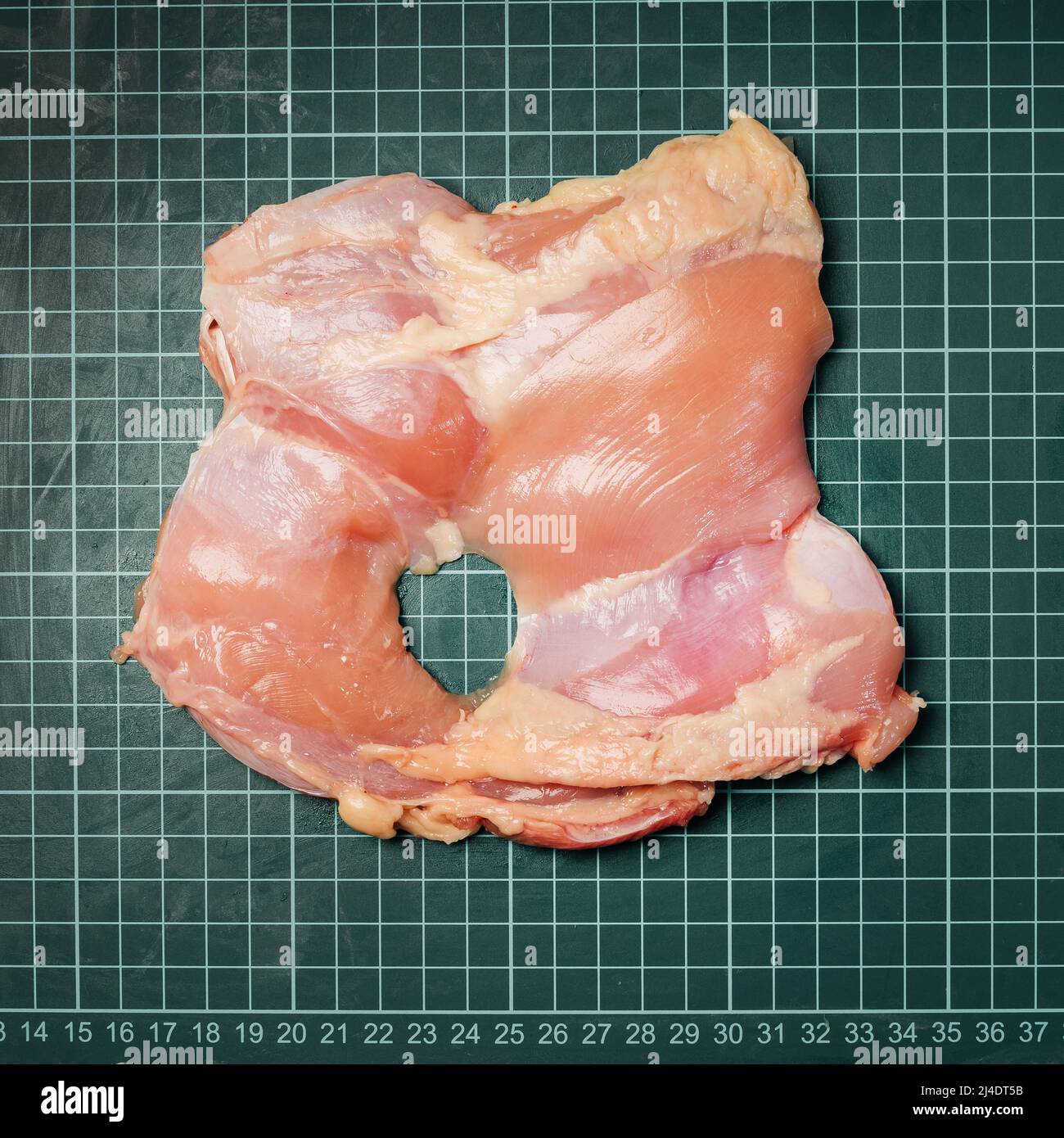 Chicken Leg Dissection