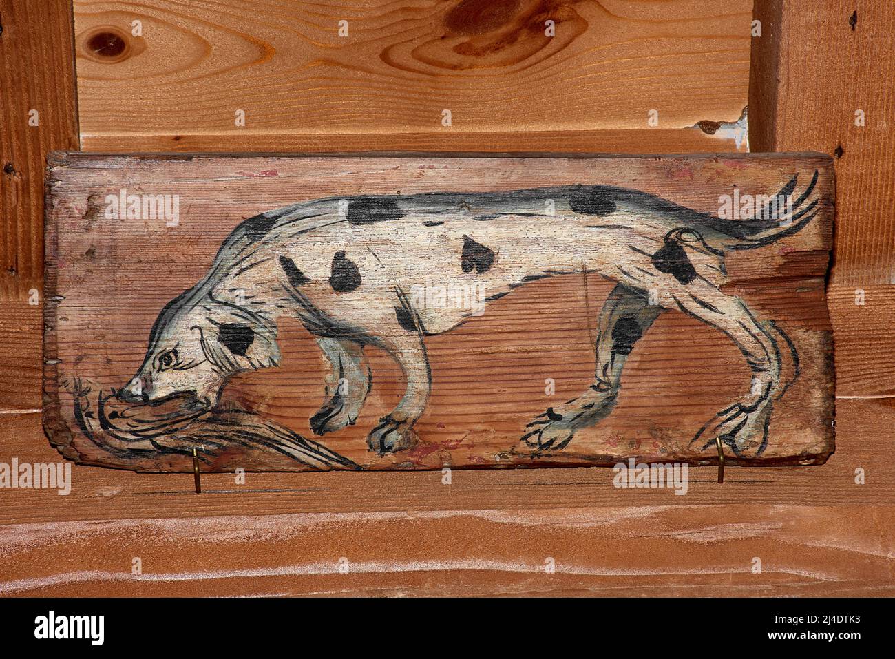 Cane da caccia hi-res stock photography and images - Alamy