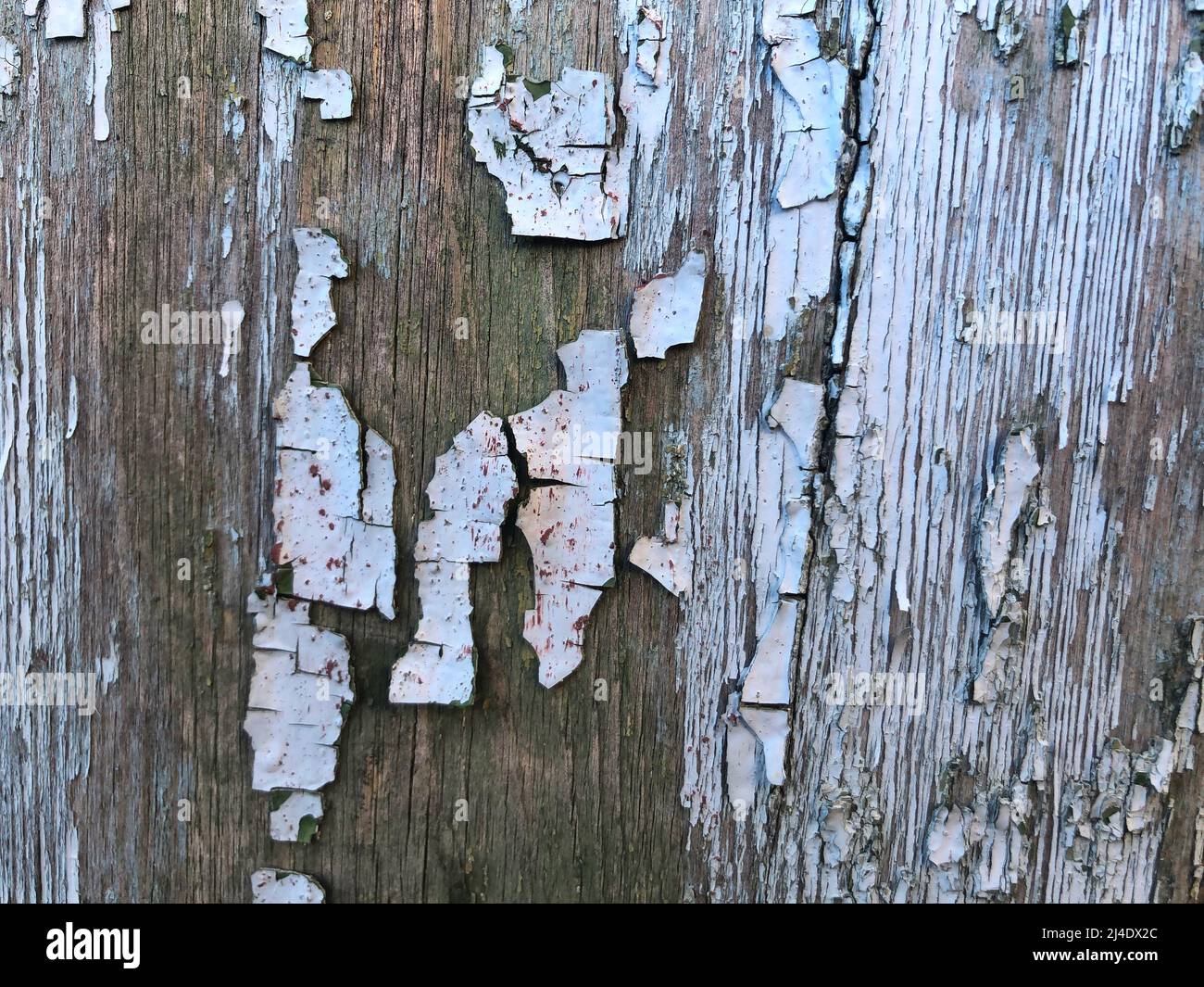 Paint flakes off hi-res stock photography and images - Alamy