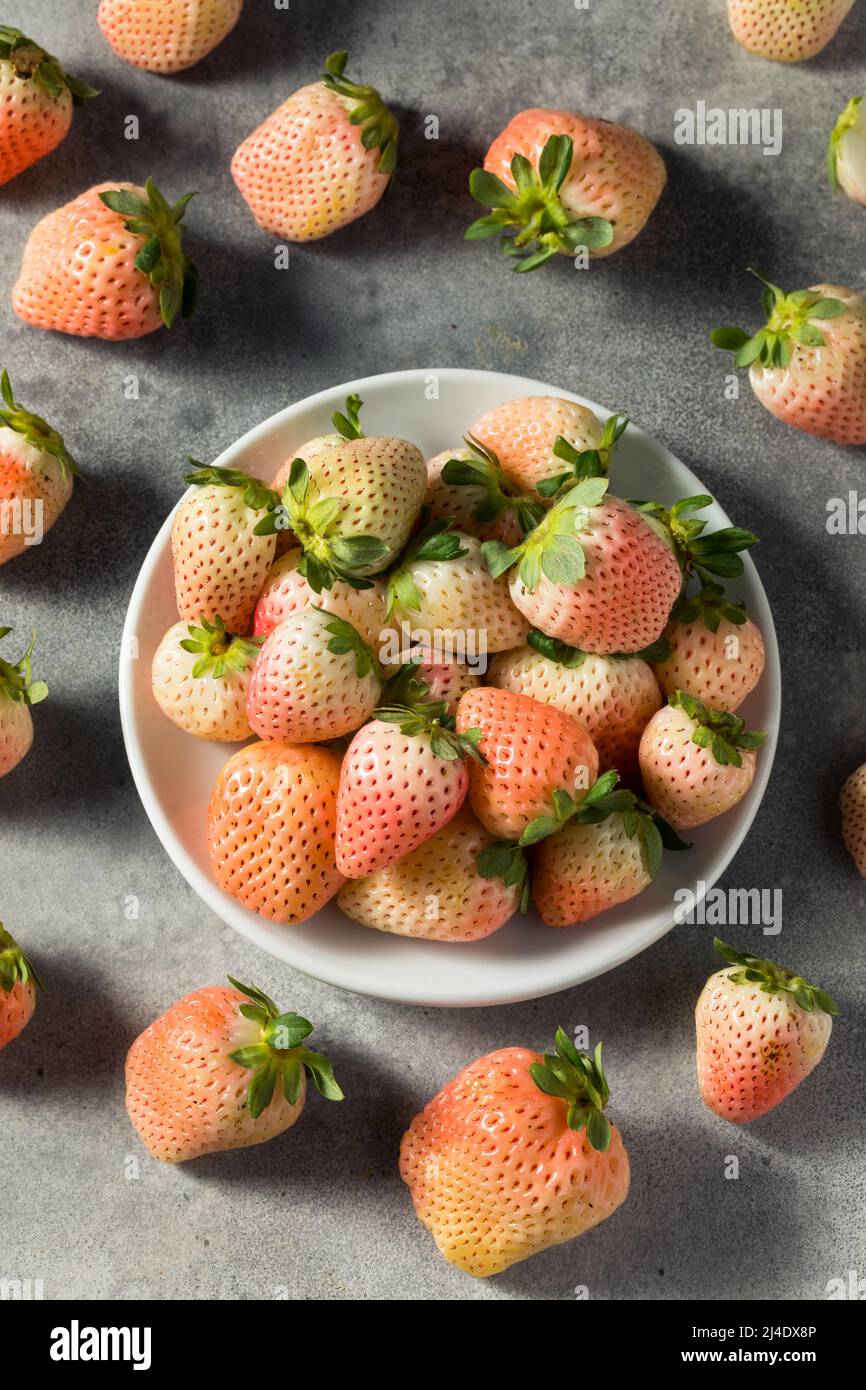 Organic Raw Pink Pineberries Strawberry in a Bowl Stock Photo - Alamy