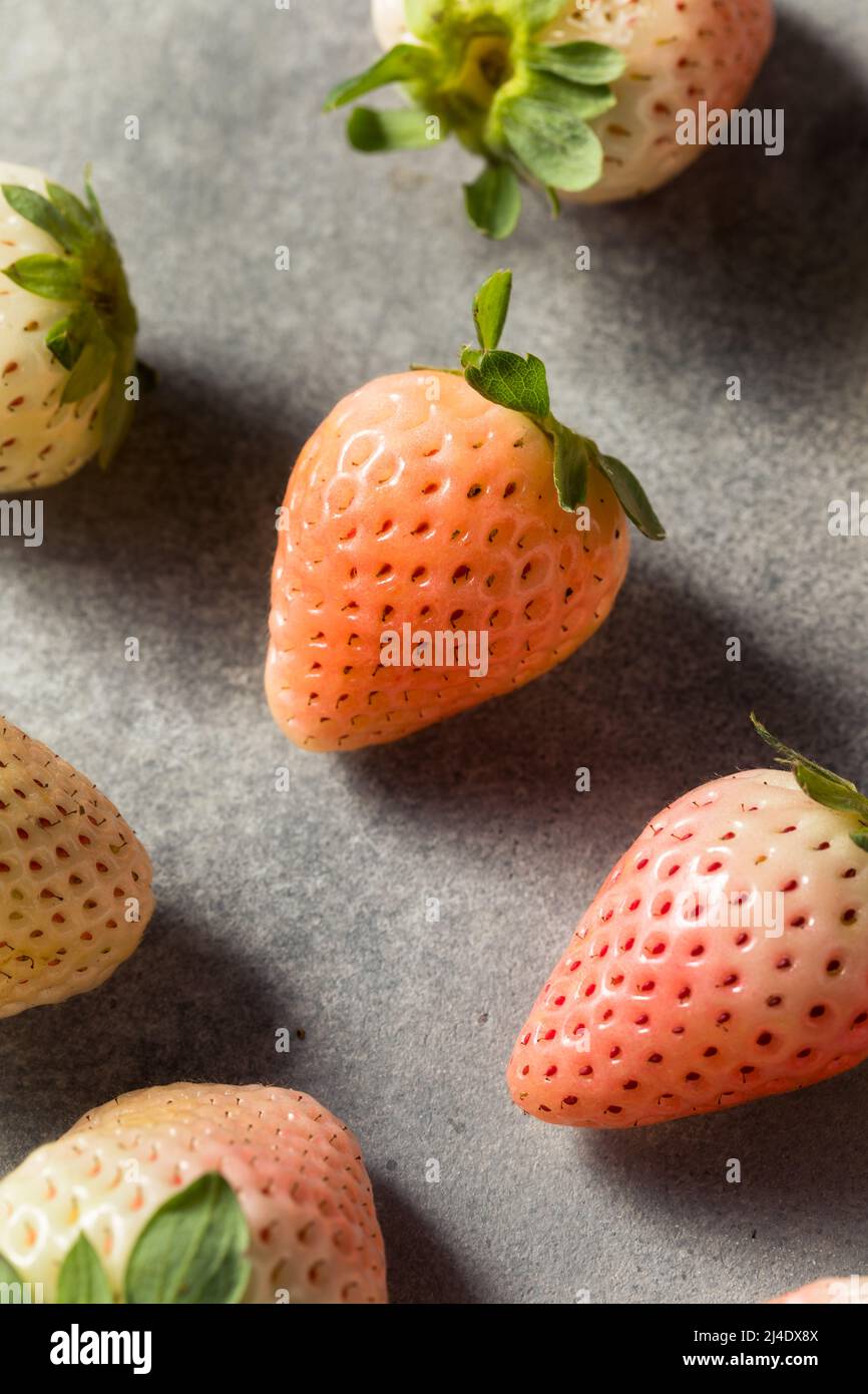 Organic Raw Pink Pineberries Strawberry in a Bowl Stock Photo - Alamy