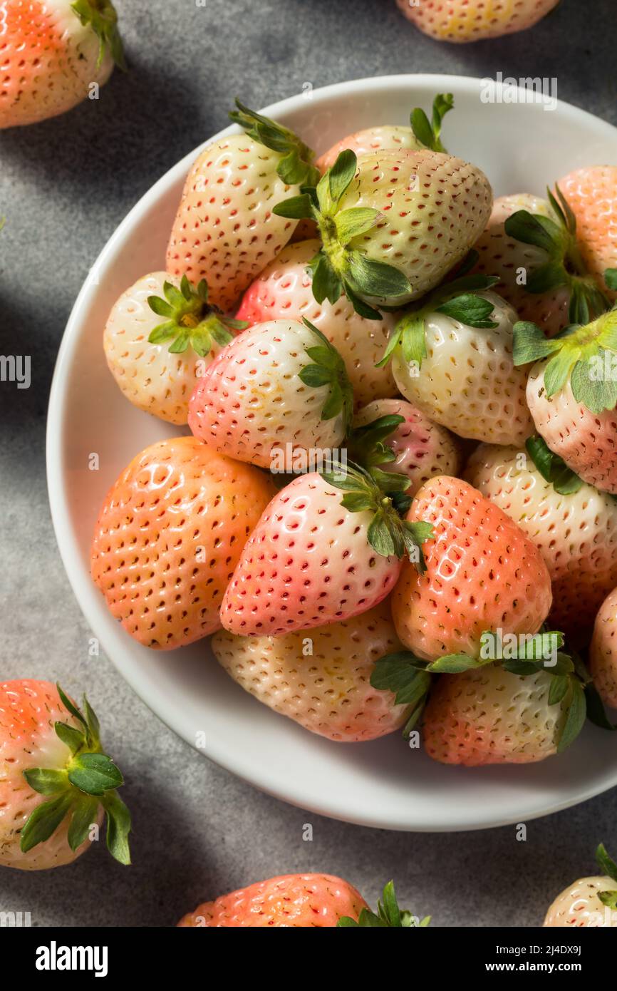Strawberry pine hi-res stock photography and images - Alamy