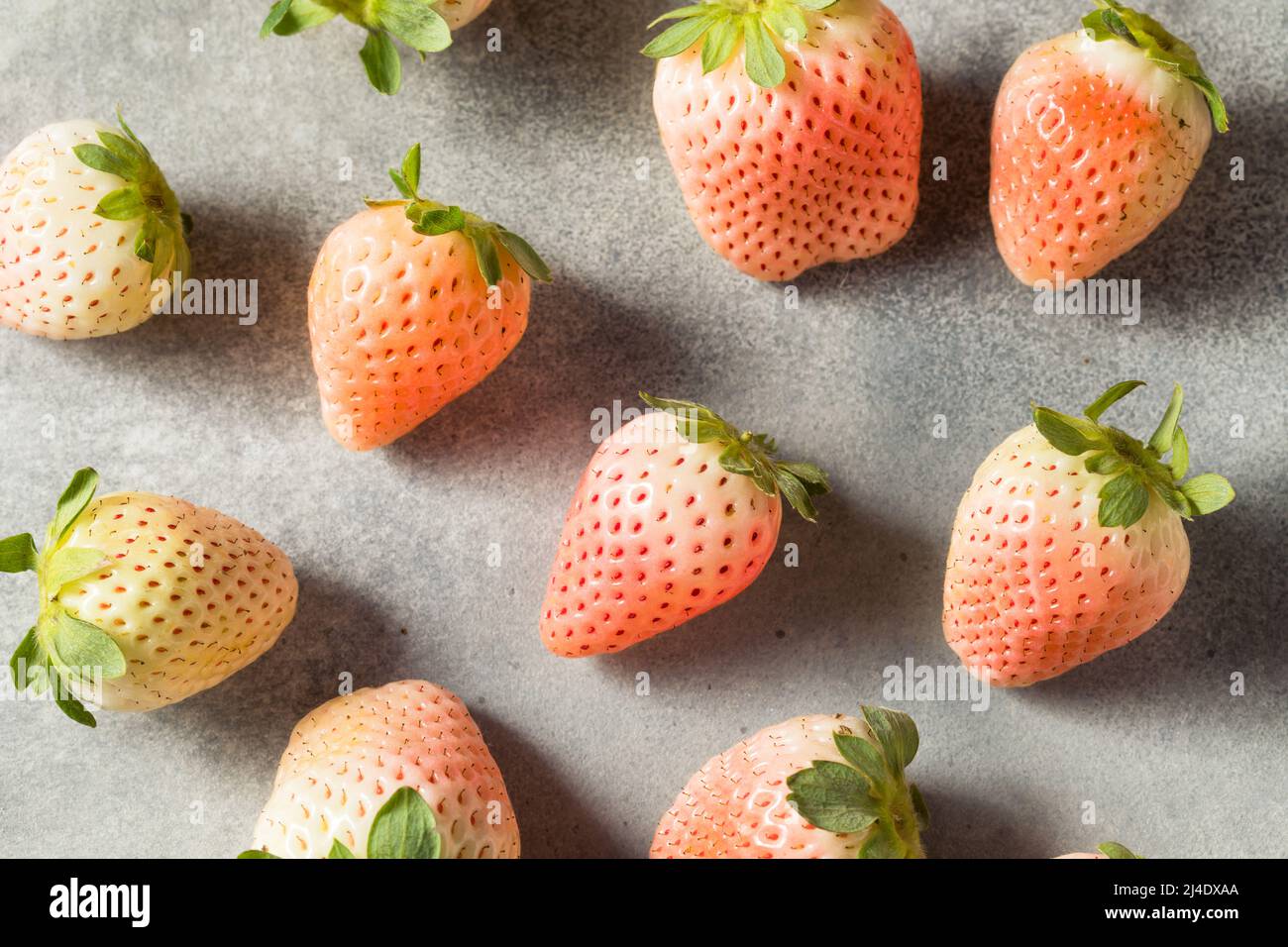 Organic Raw Pink Pineberries Strawberry in a Bowl Stock Photo - Alamy
