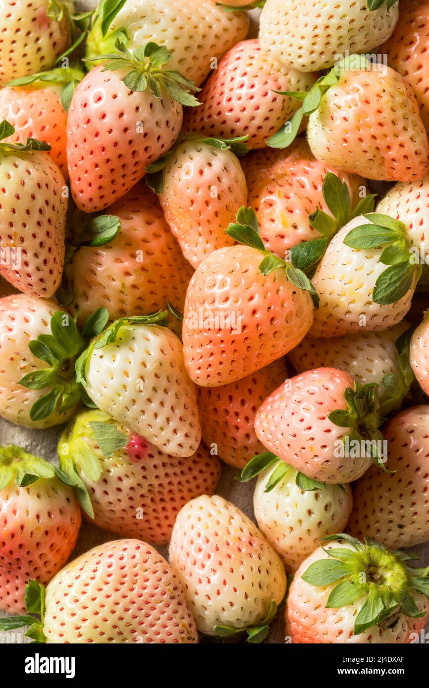 Strawberry pine hi-res stock photography and images - Alamy