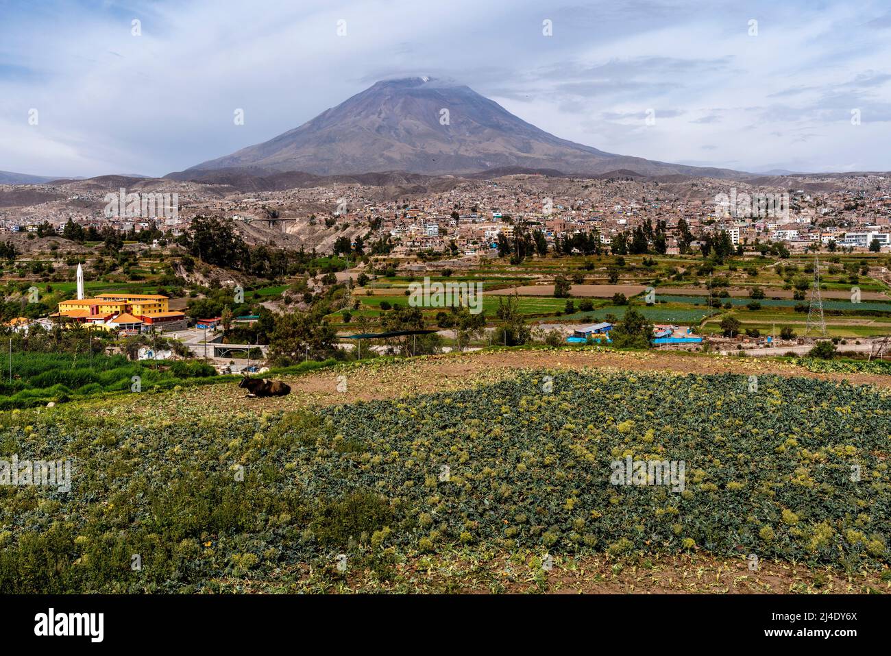 El Misti Volcano and Arequipa City, Arequipa, Arequipa Region, Peru ...