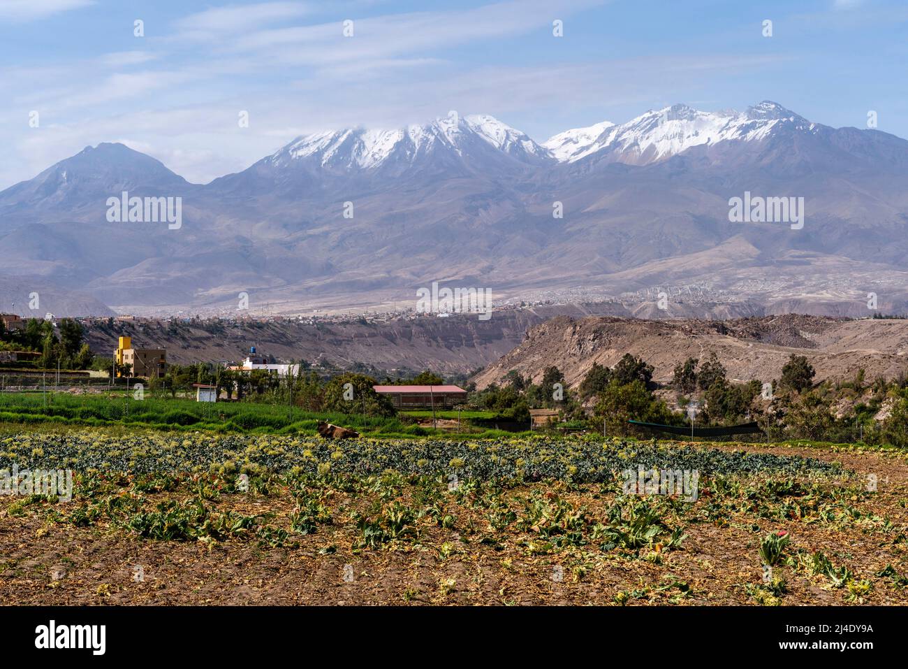 The Chachani Volcanic Group, Arequipa, Arequipa Region, Peru Stock ...