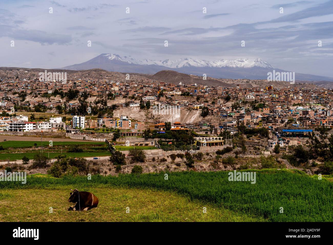 Arequipa and The Pichu Pichu Volcano, Arequipa Region, Peru Stock Photo ...