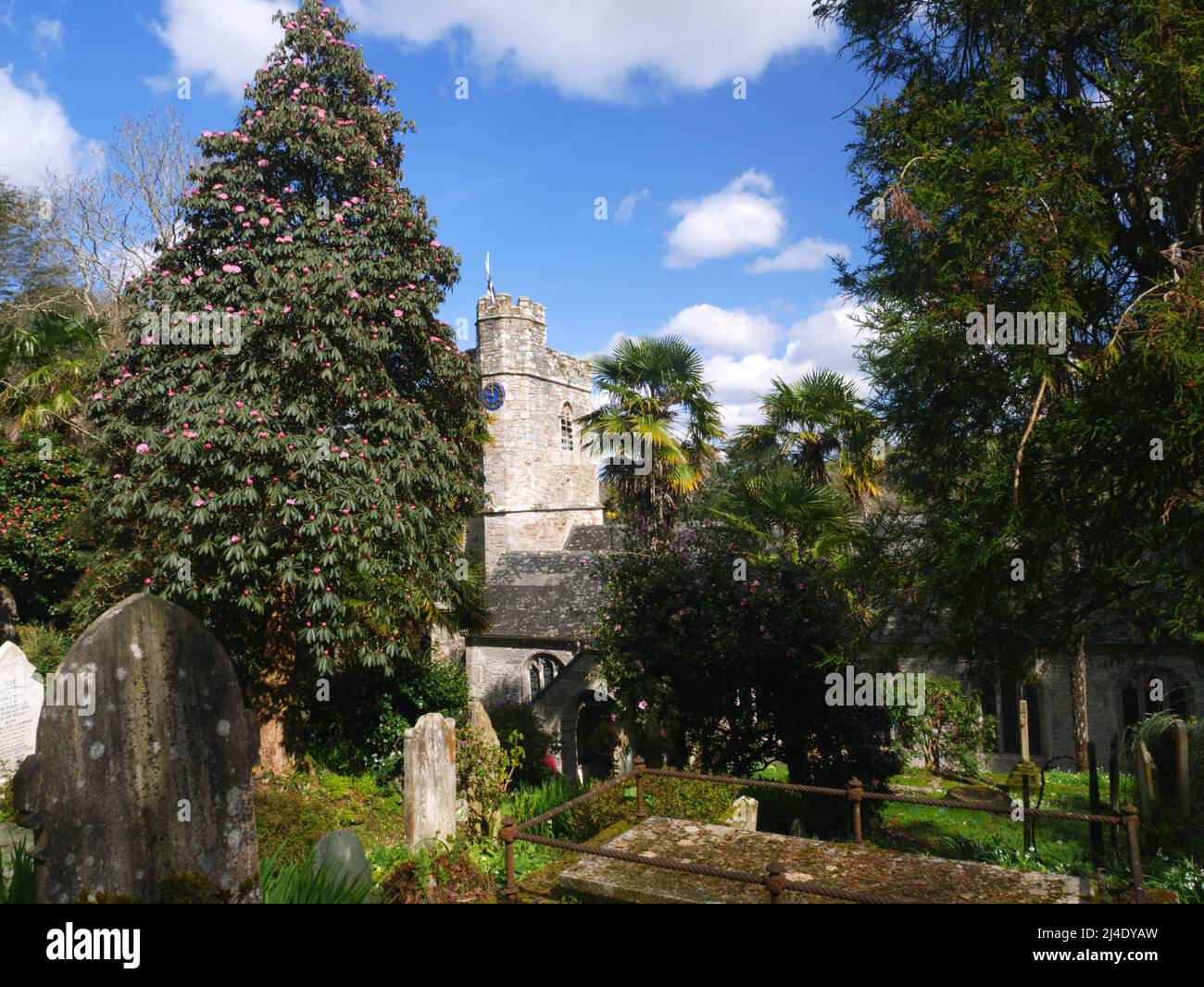 The church of St Just-in-Roseland, Cornwall in springtime Stock Photo ...