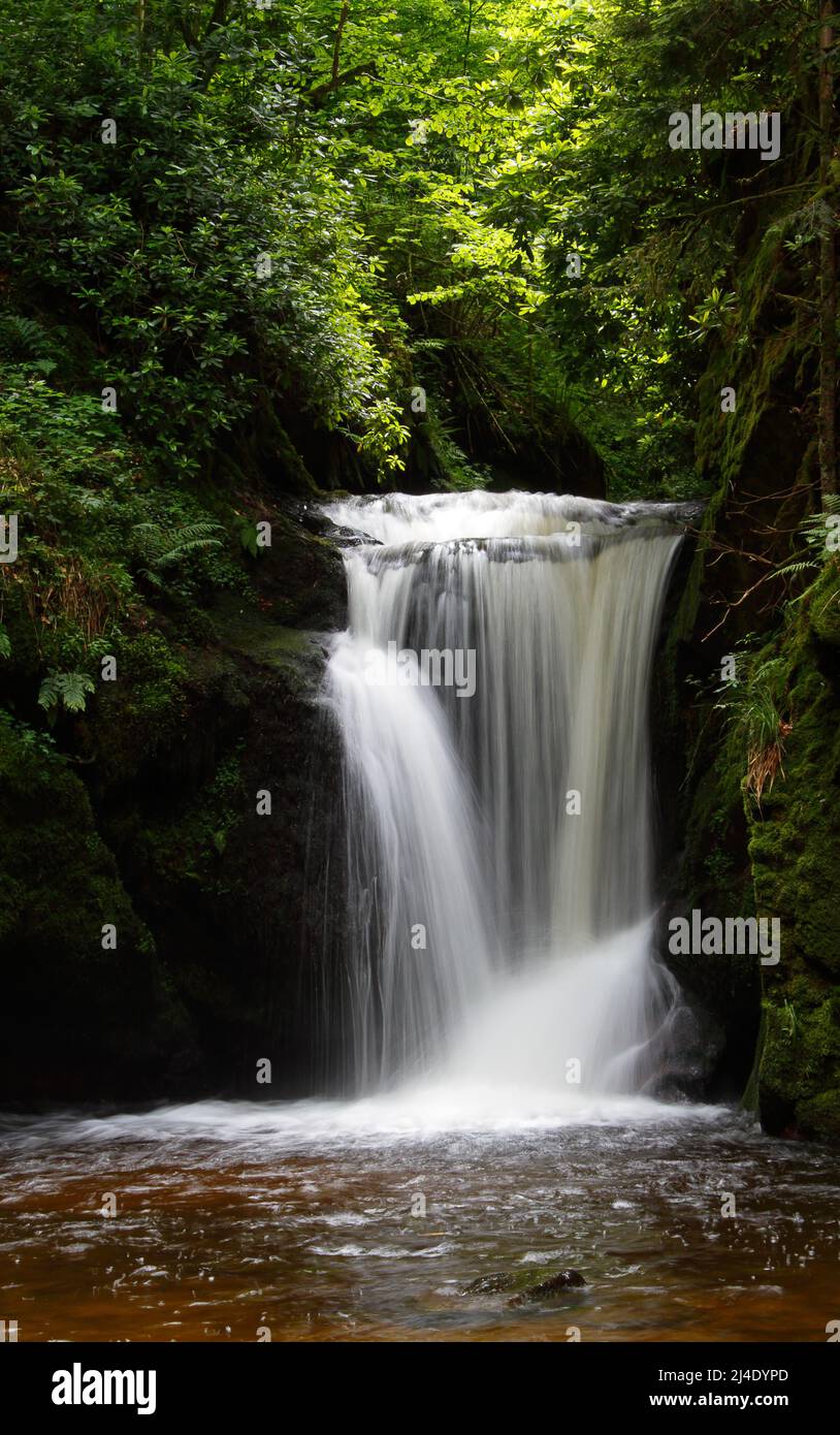 waterfall in the black forest, Geroldsauer Wasserfall Stock Photo - Alamy