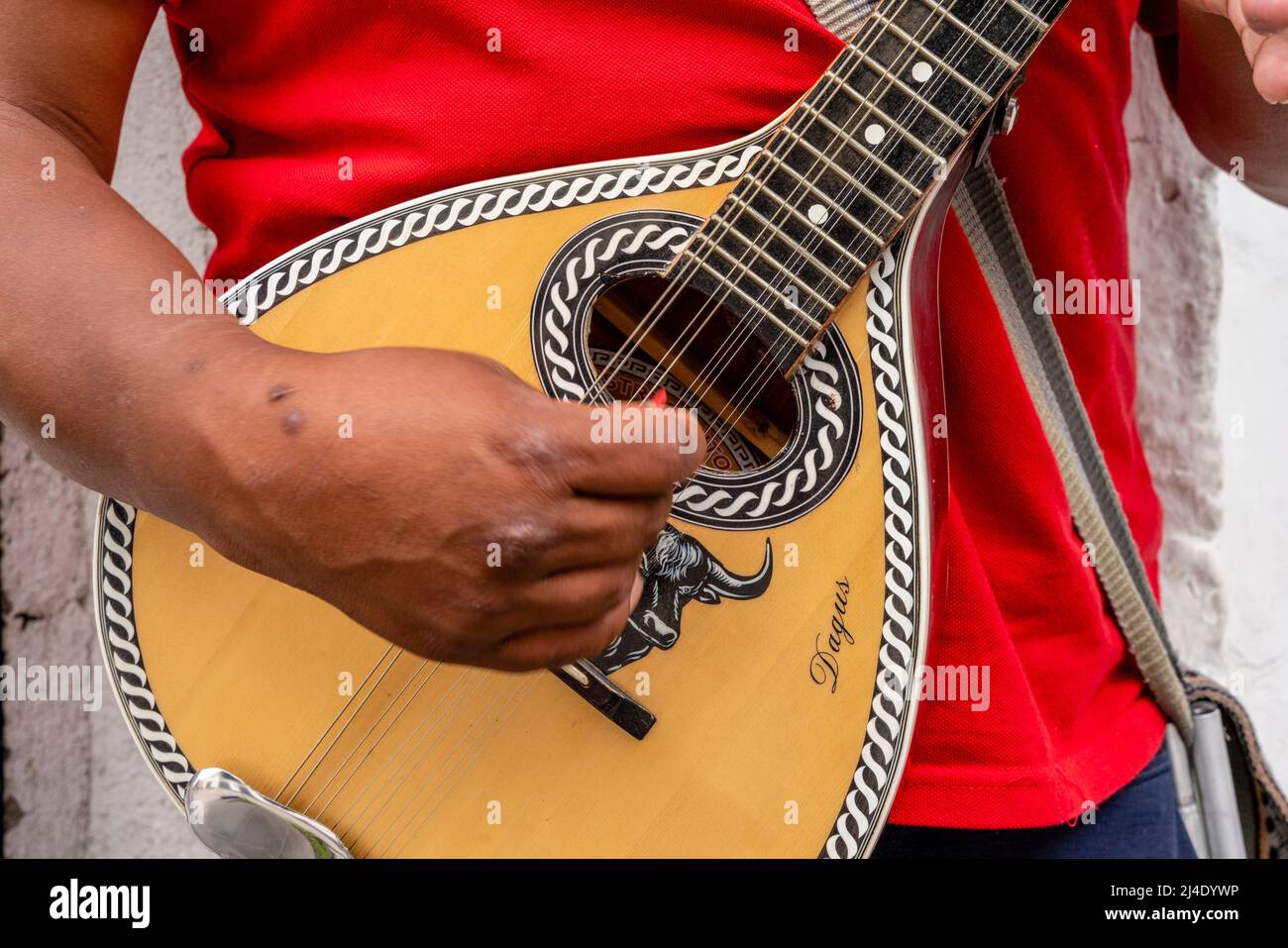 A Local Musician Playing A Lute Guitar On The Streets of Arequipa ...