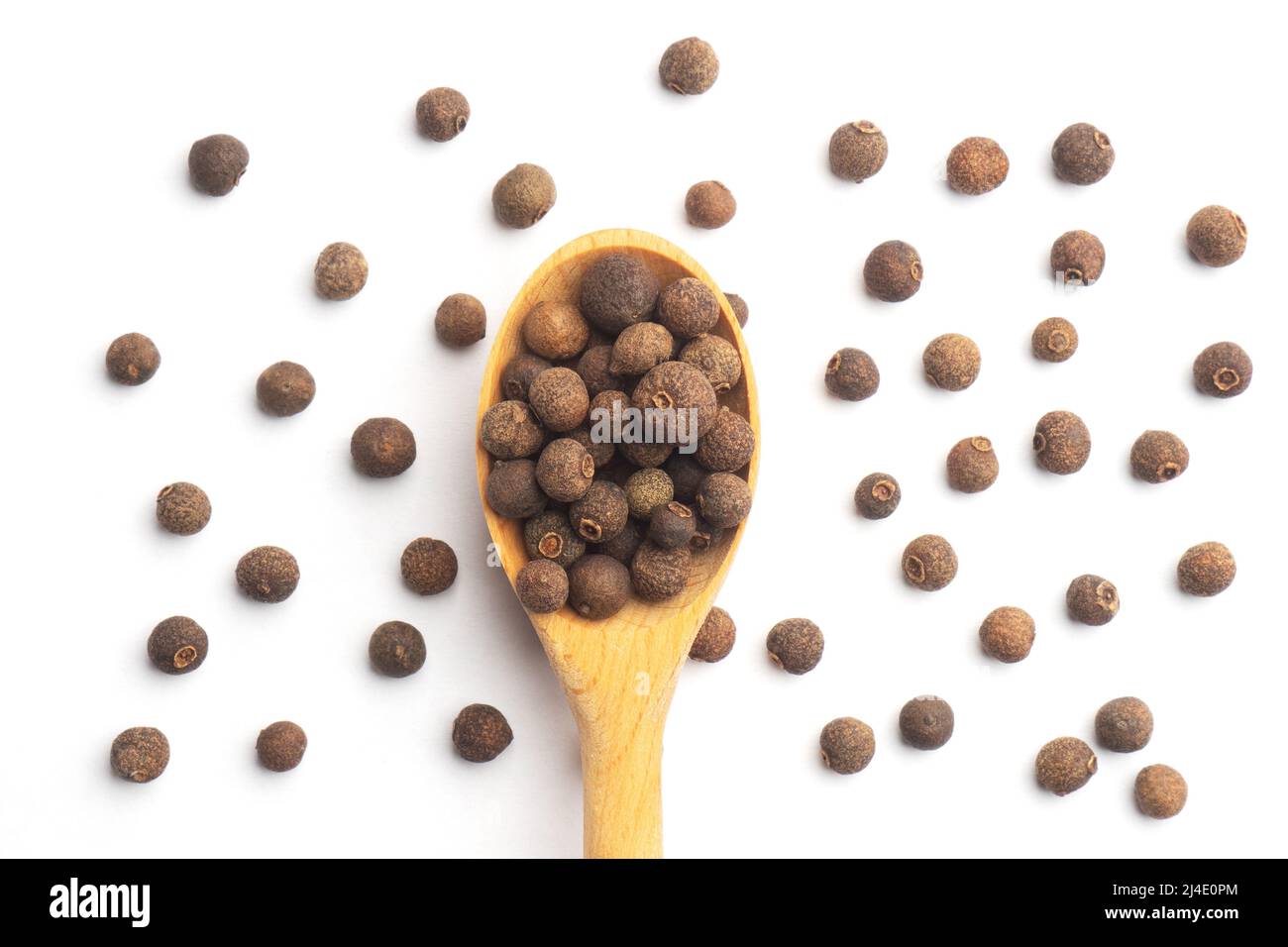 Spice Allspice in wooden spoon and bunch on white background isolated ...