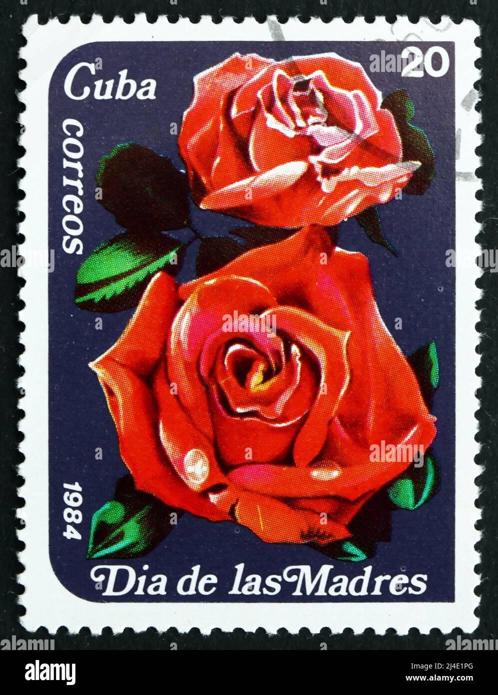 CUBA - CIRCA 1984: a stamp printed in the Cuba shows Red Roses, Mothers ...