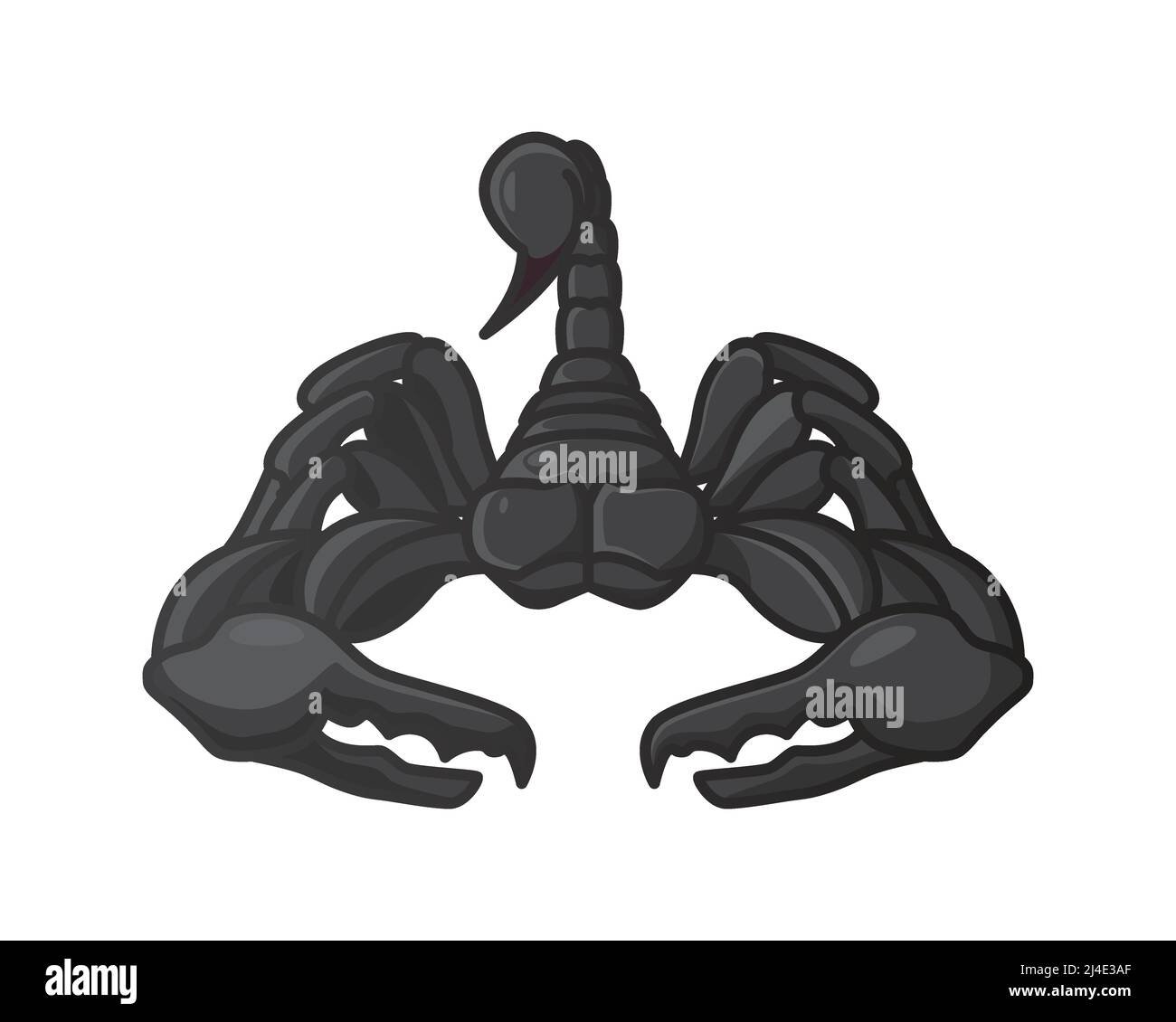 Detailed Scorpion with Front View Illustration Vector Stock Vector ...