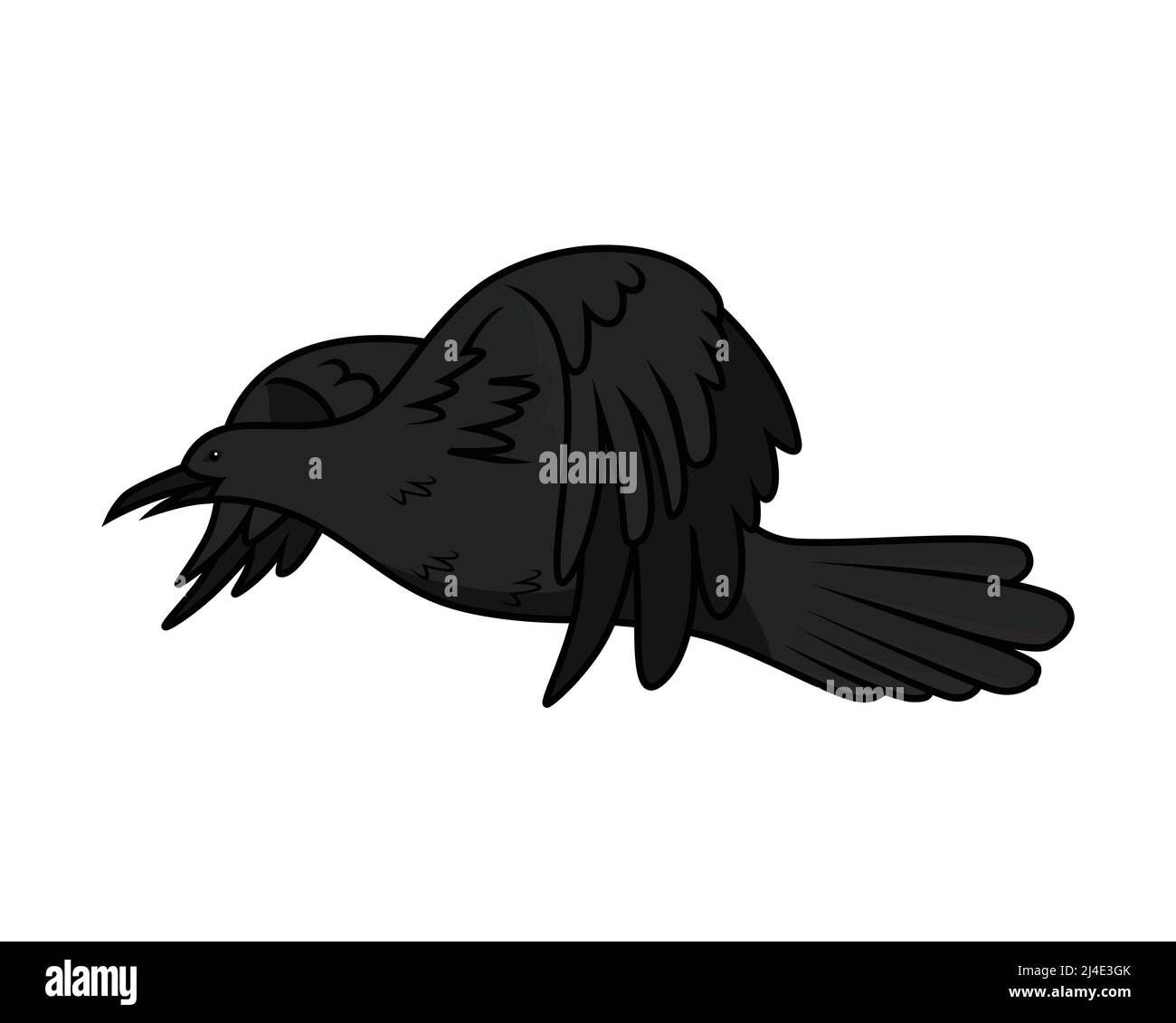 Detailed Flying Raven or Crow Illustration Vector Stock Vector Image ...