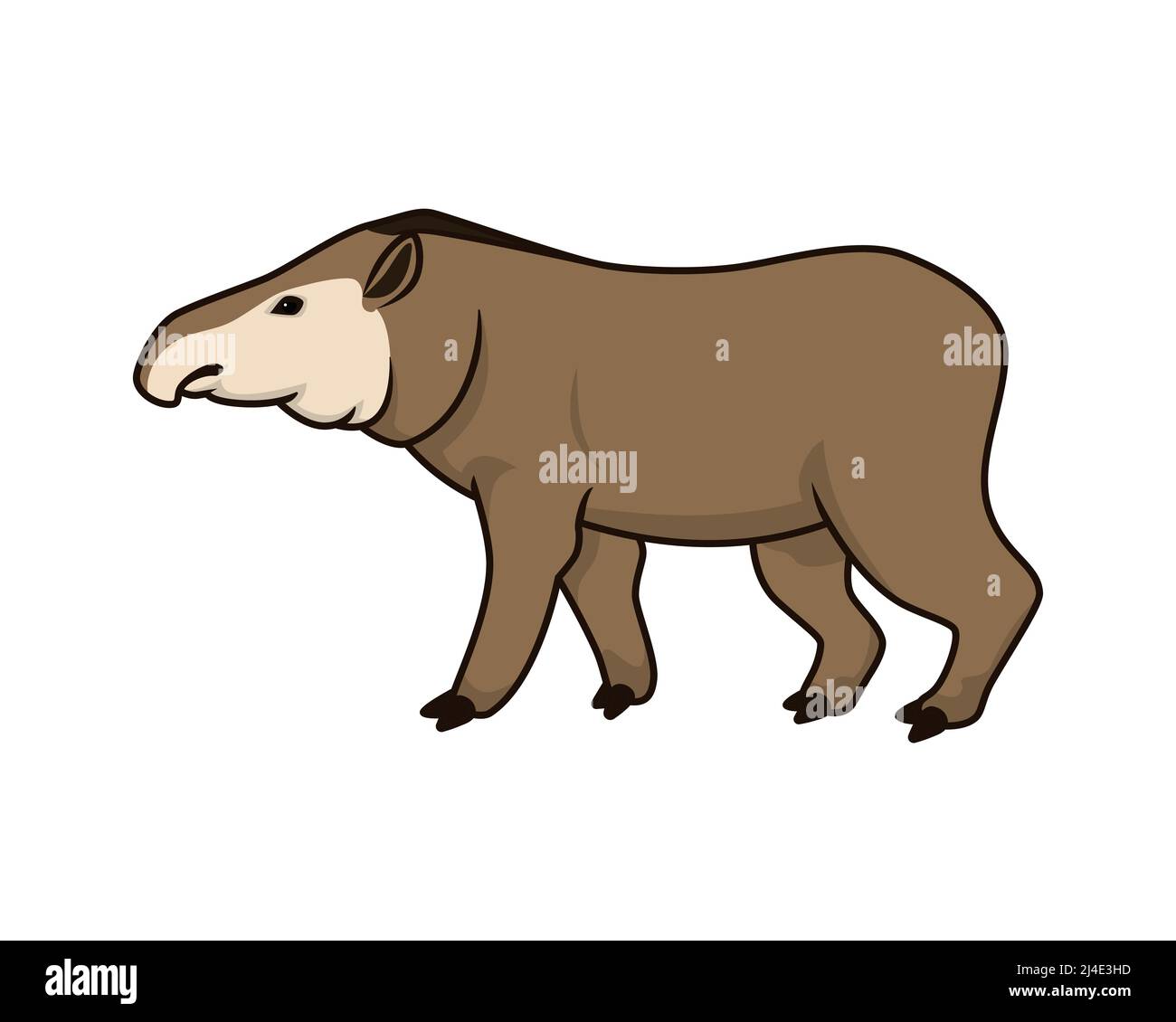 Detailed nose Cut Out Stock Images & Pictures - Alamy