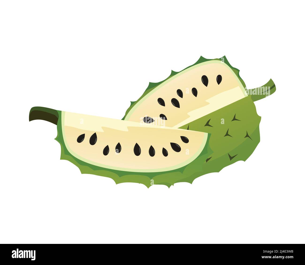 Soursop Fruit Stock Vector Images - Alamy