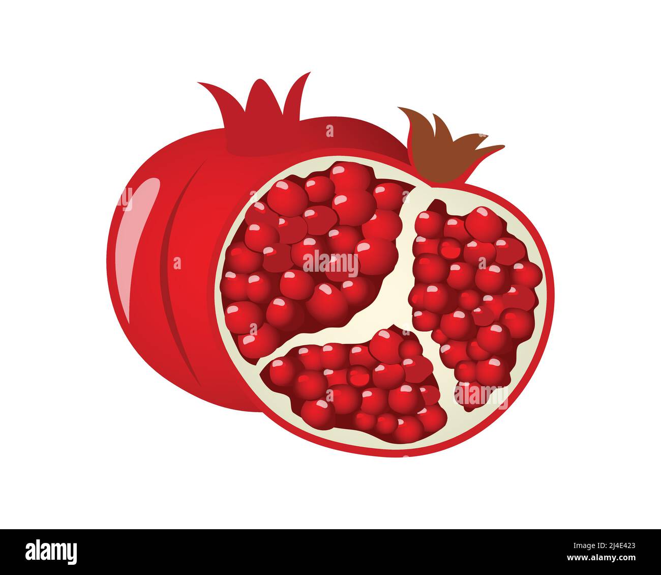 Detailed Pomegranate with the Slice Illustration Vector Stock Vector ...