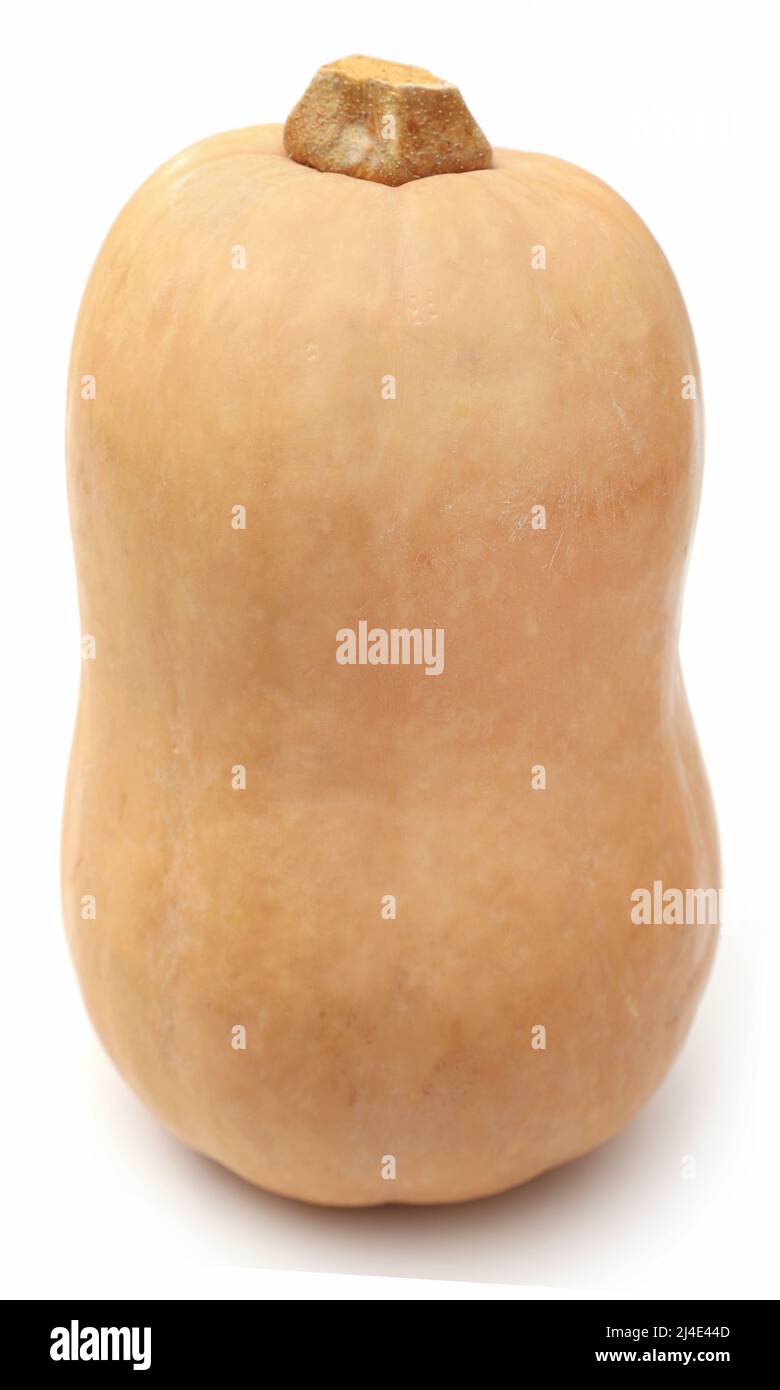 Fresh butternut squash over white background Stock Photo - Alamy