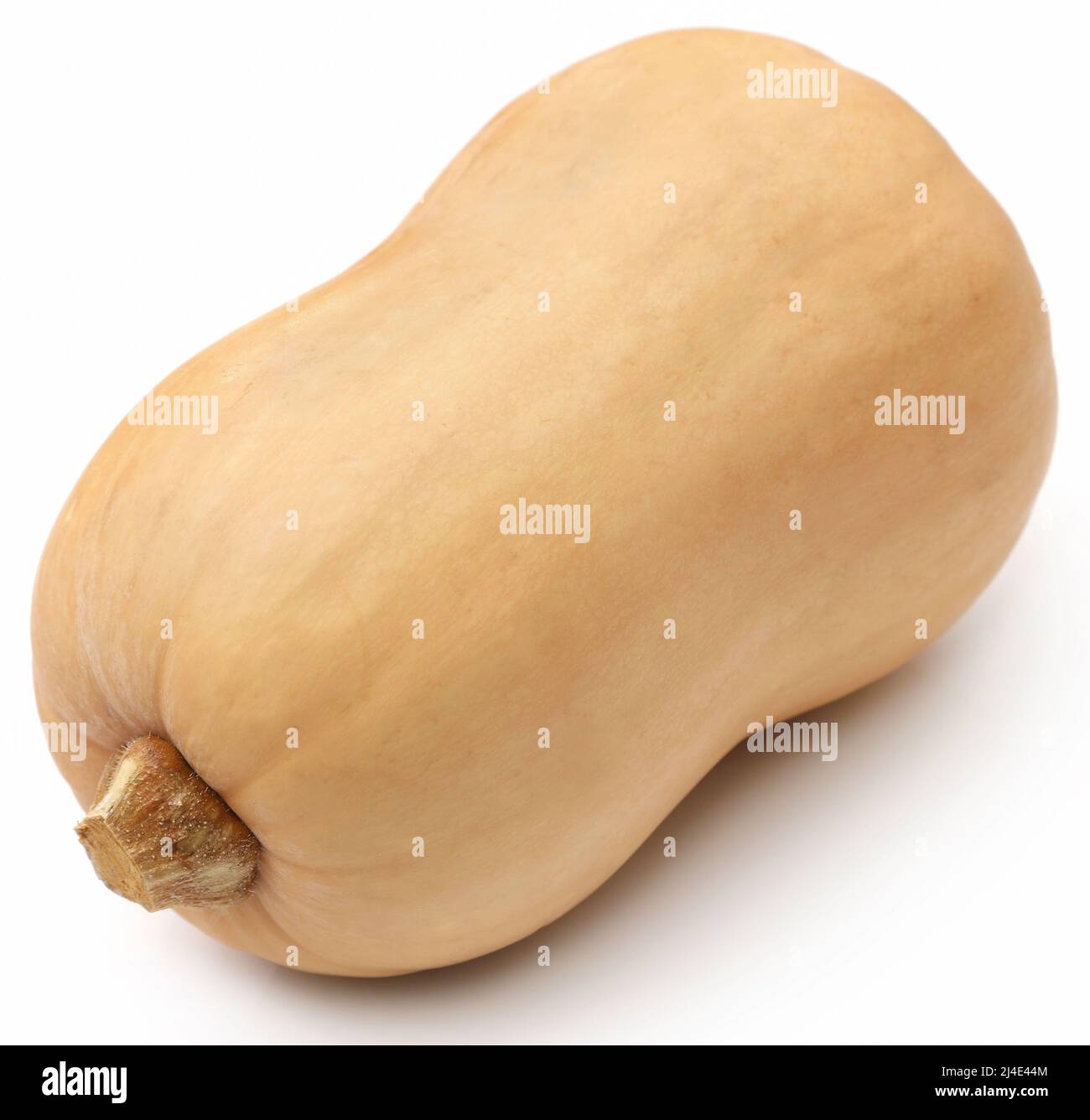Fresh butternut squash over white background Stock Photo - Alamy