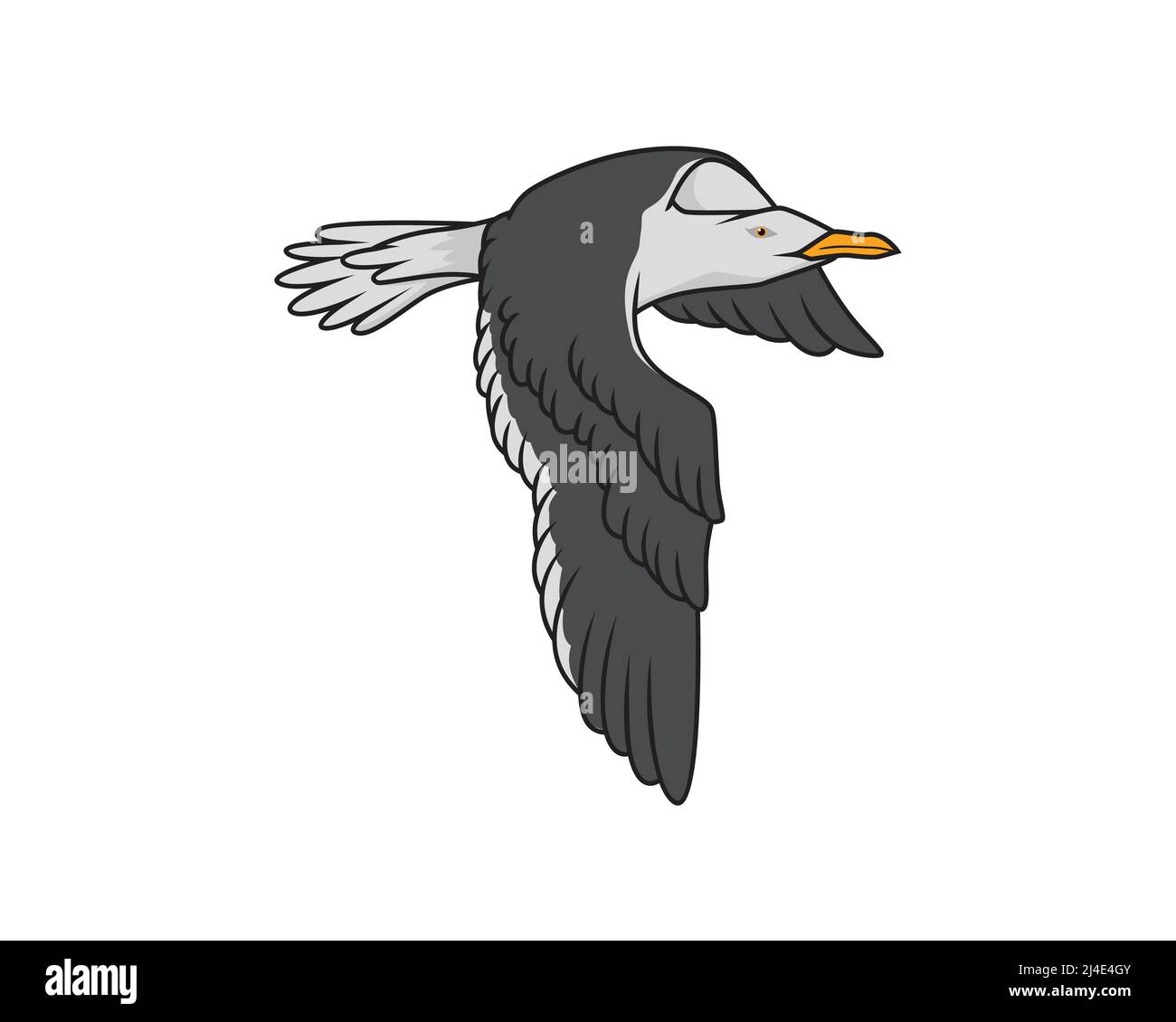 Detailed Flying Seagull Illustration Vector Stock Vector Image & Art ...