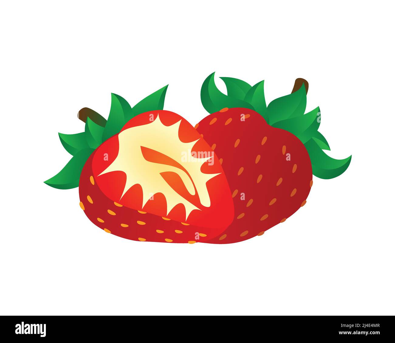 Detailed Strawberry and the Slices Illustration Vector Stock Vector ...