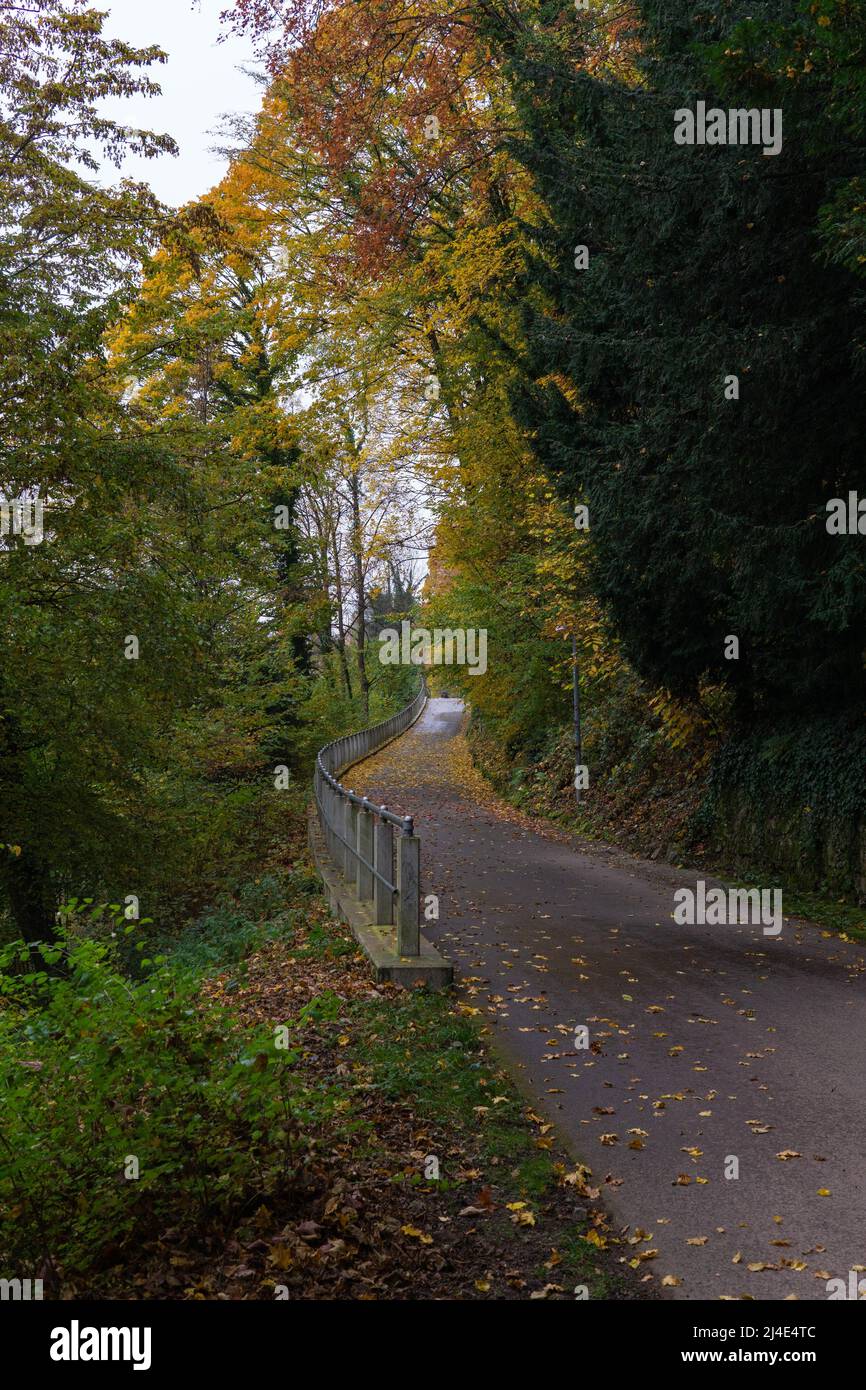 Road black forest road germany hi-res stock photography and images - Alamy