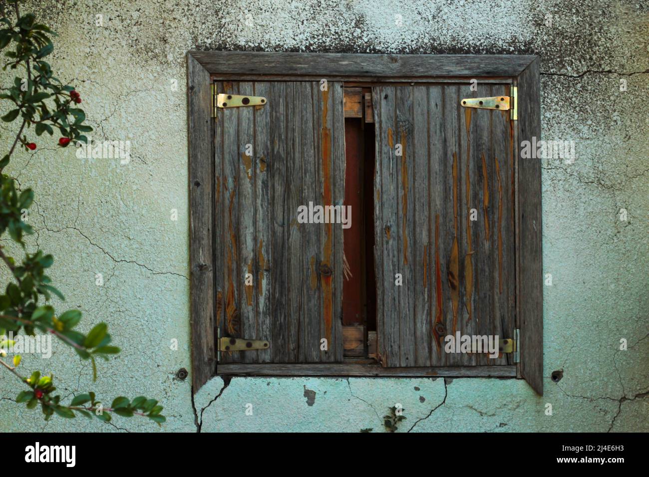 Old, desolate, closed wooden window with cracked wall and pomegranate ...