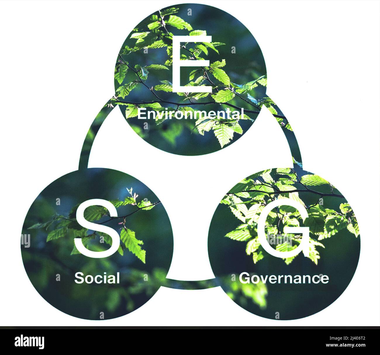 esg symbol on green forest background Environmental Social Governance ...