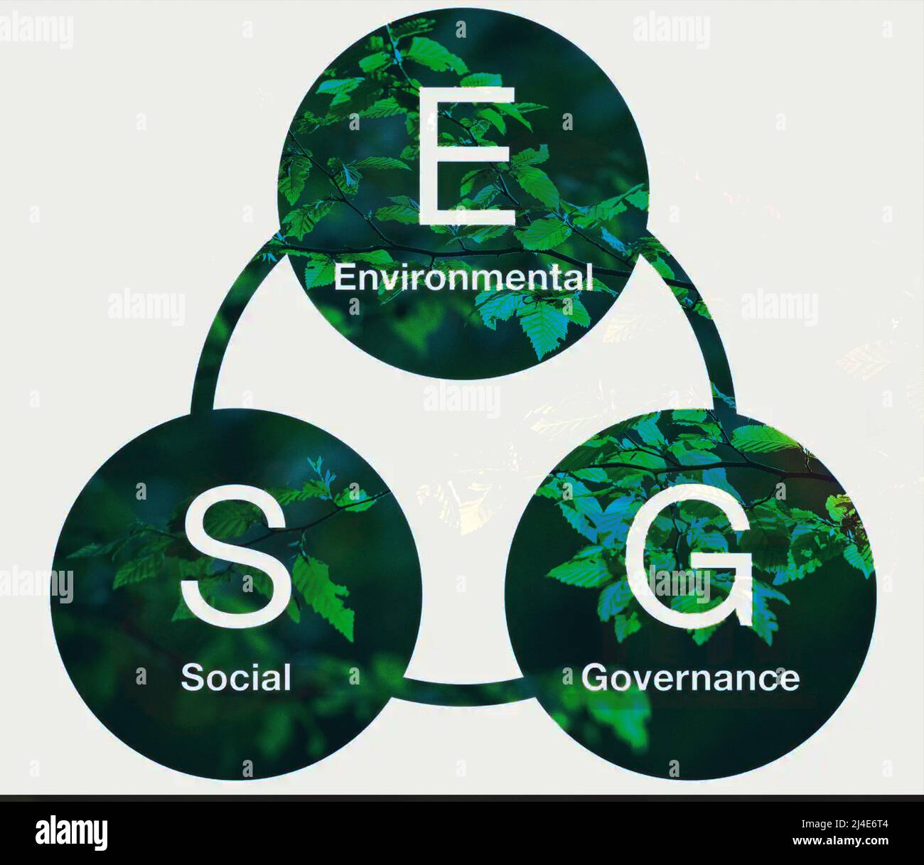 esg symbol on green forest background Environmental Social Governance ...