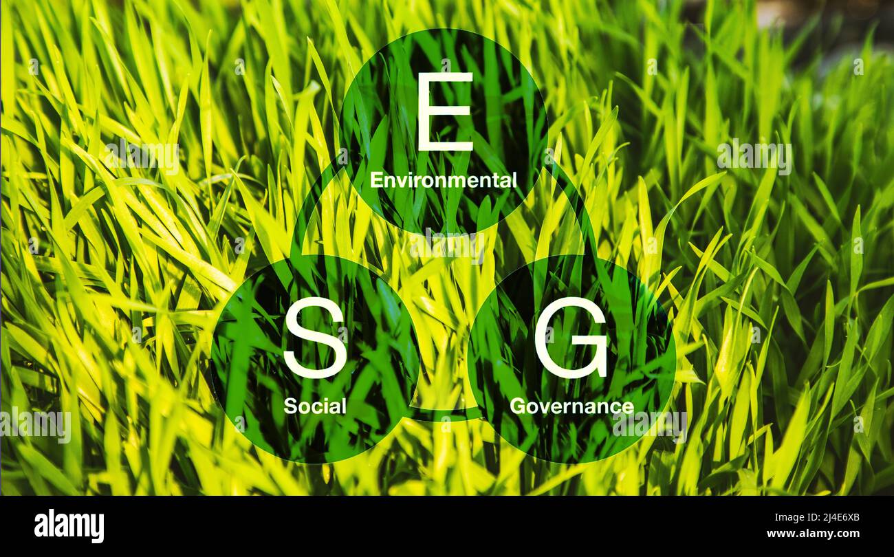 esg concept on green background Environmental Social Governance Stock ...