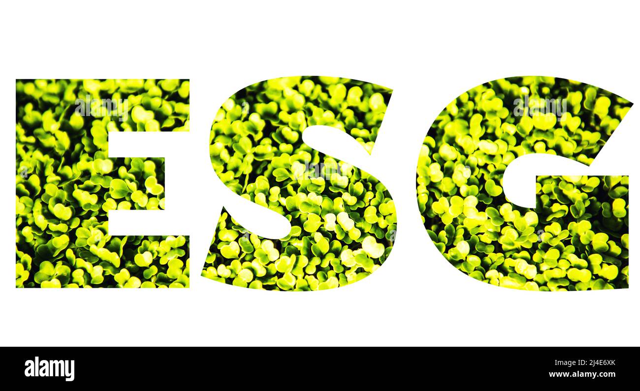 esg concept on green background Environmental Social Governance Stock ...