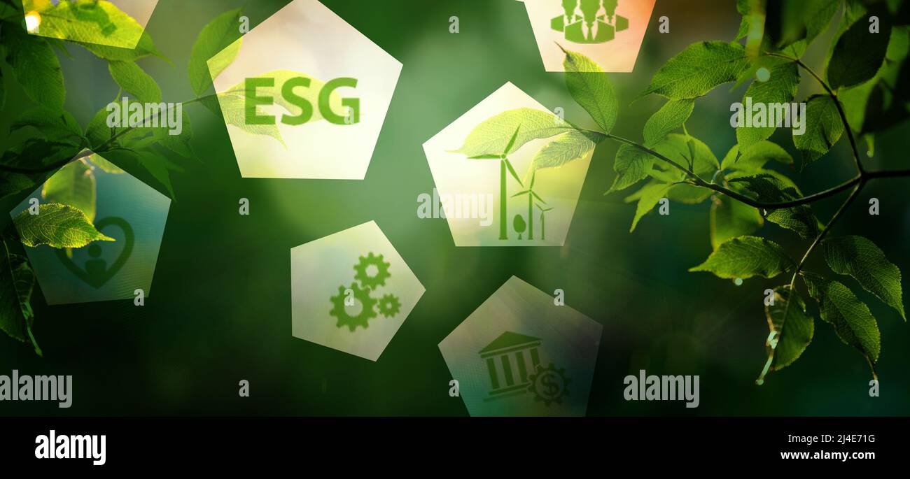 esg concept on green background Environmental Social Governance Stock ...