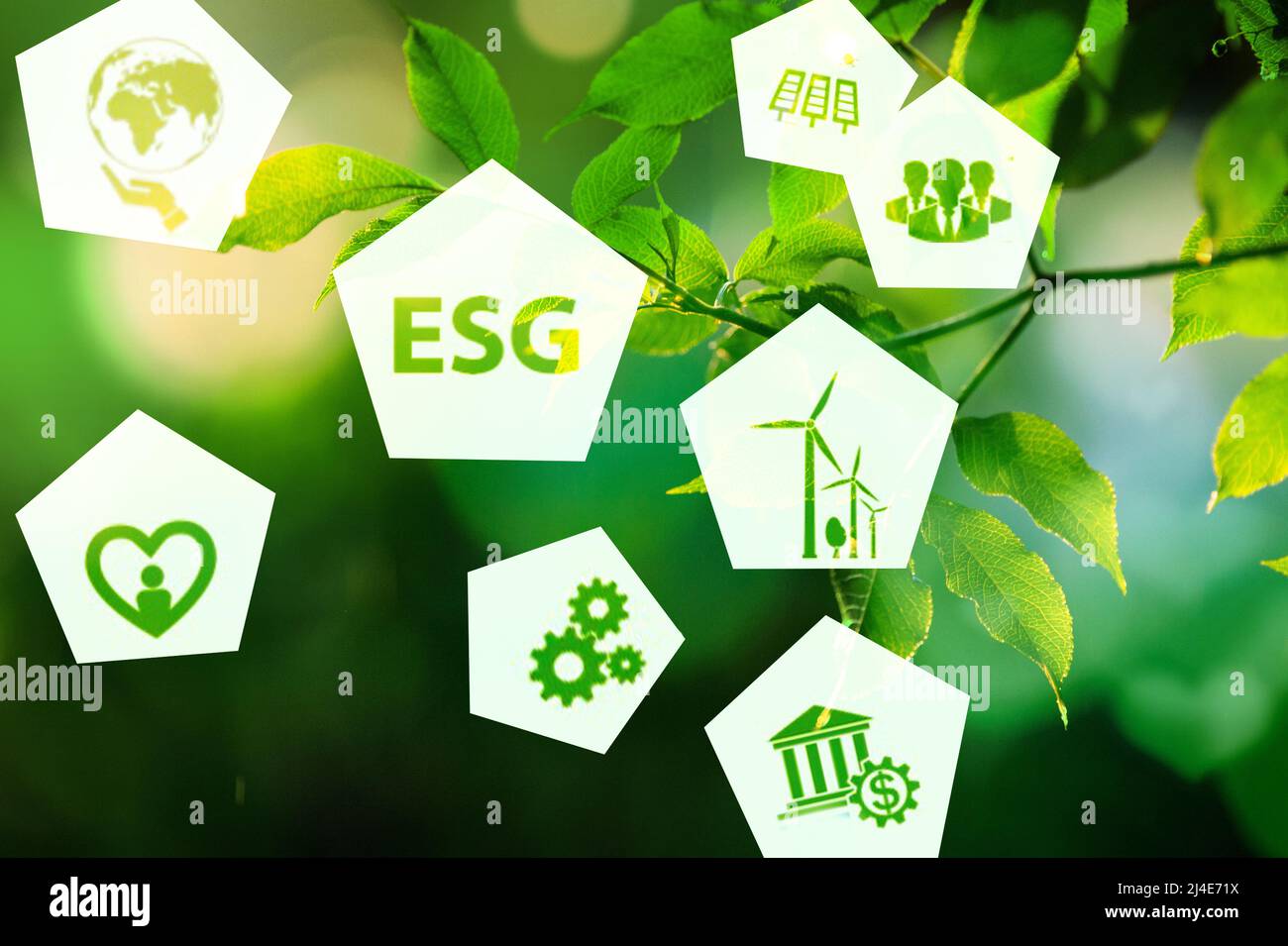 esg concept on green background Environmental Social Governance Stock ...