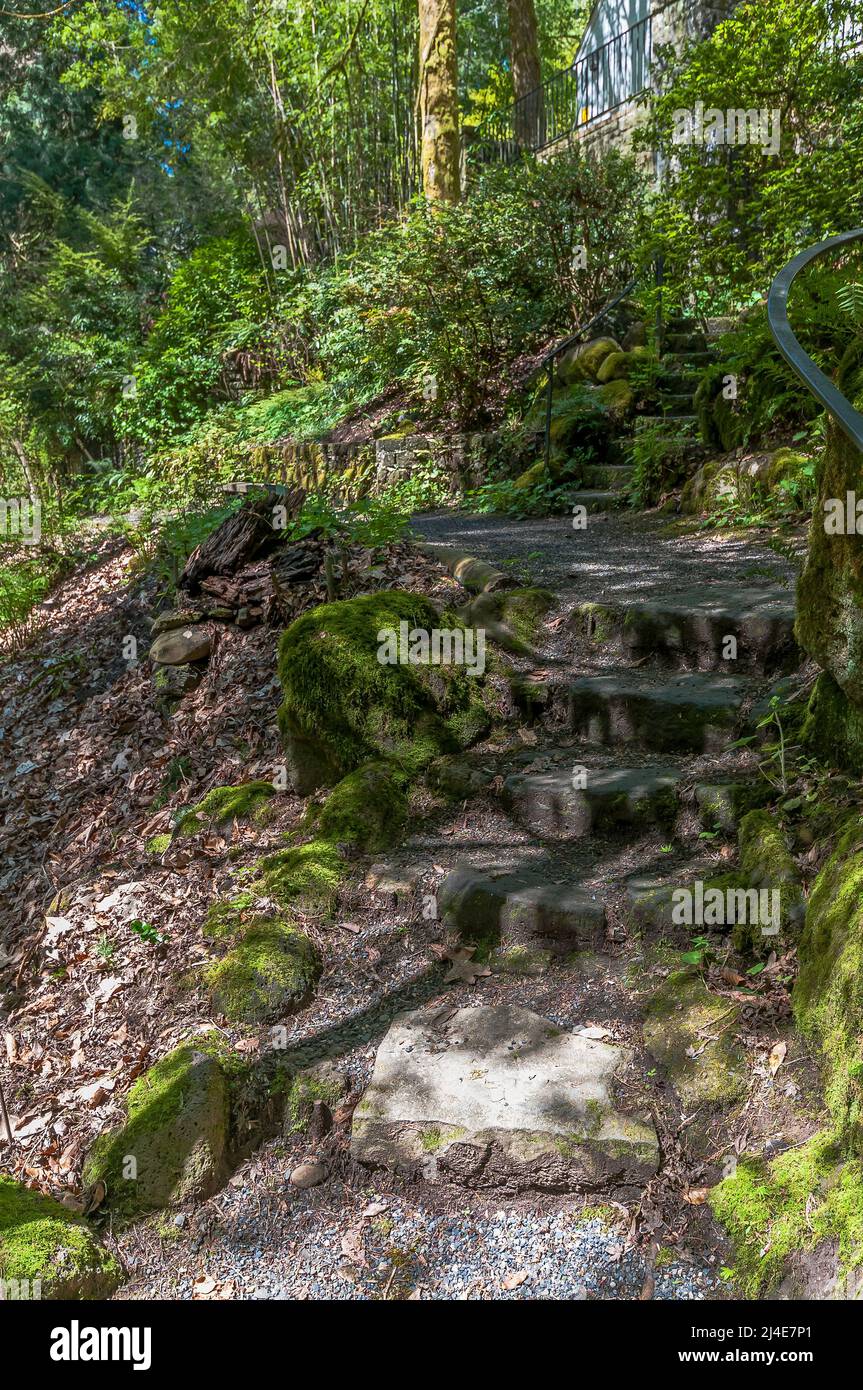 Stone stairs on the trail at Powell Butte Nature Park in Portland ...