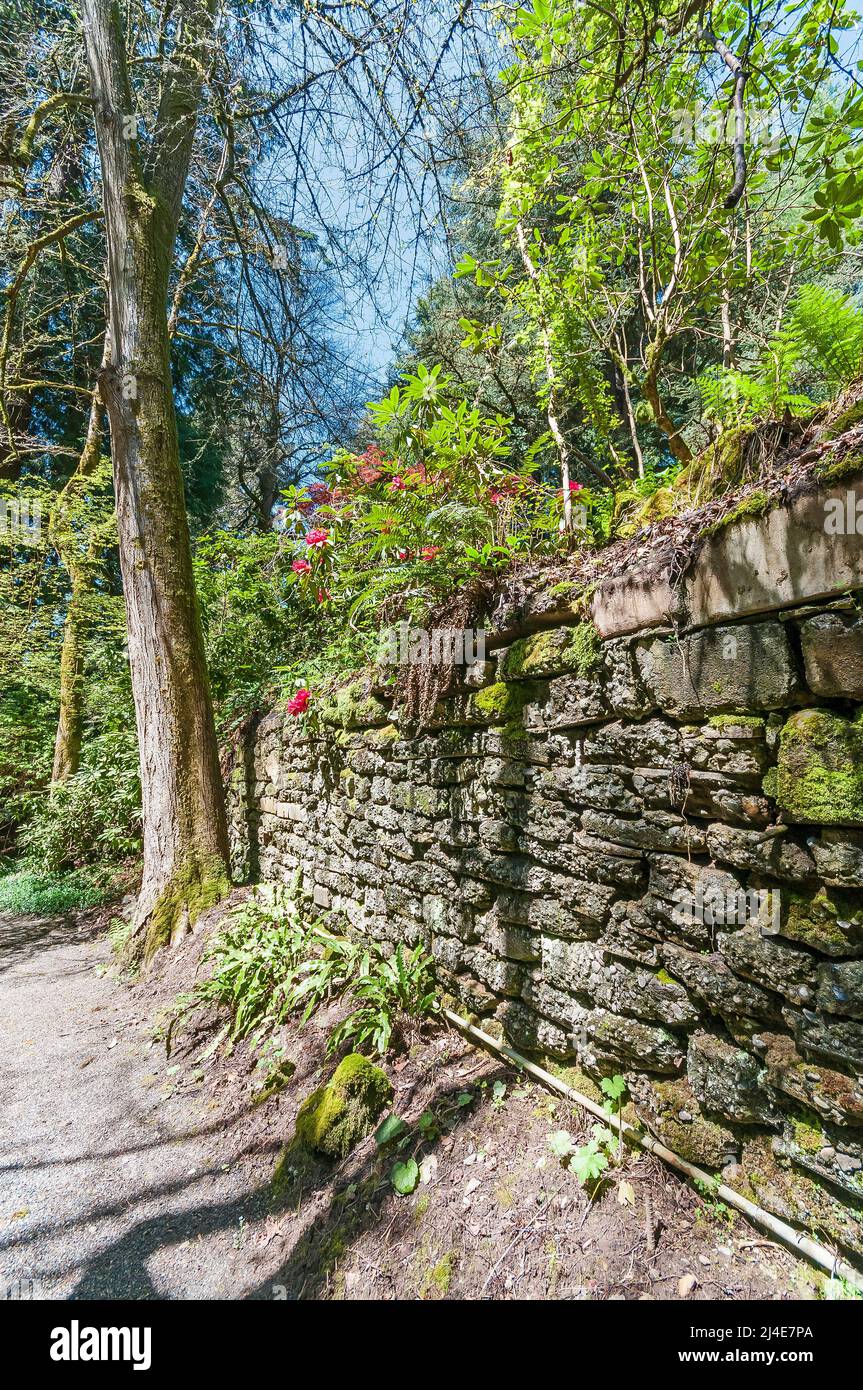 A stone retaining wall with flowers on the trail at Powell Butte Nature ...