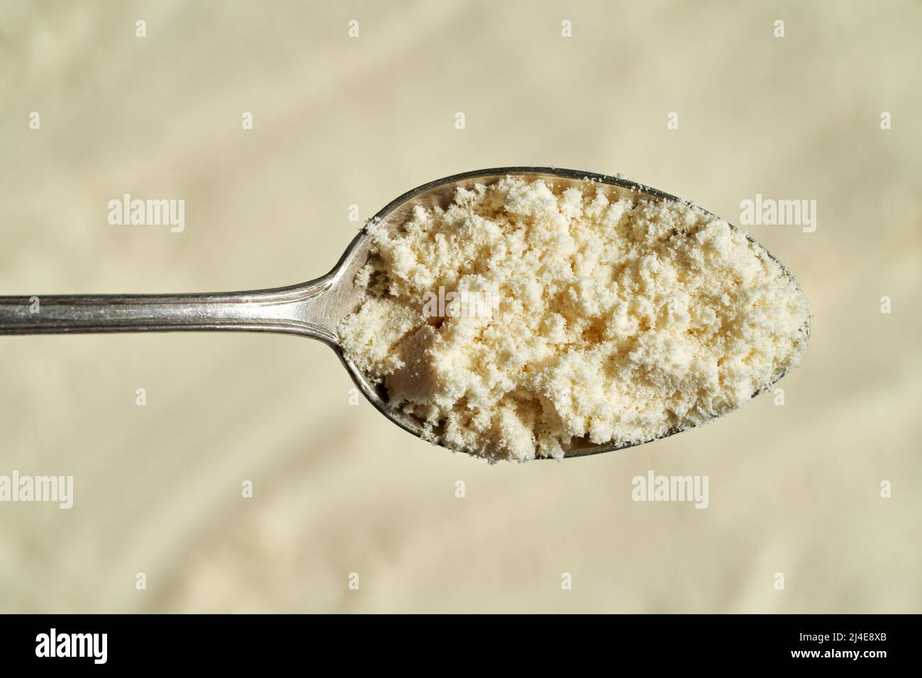 Dried whey protein powder on a metal spoon, top view Stock Photo - Alamy