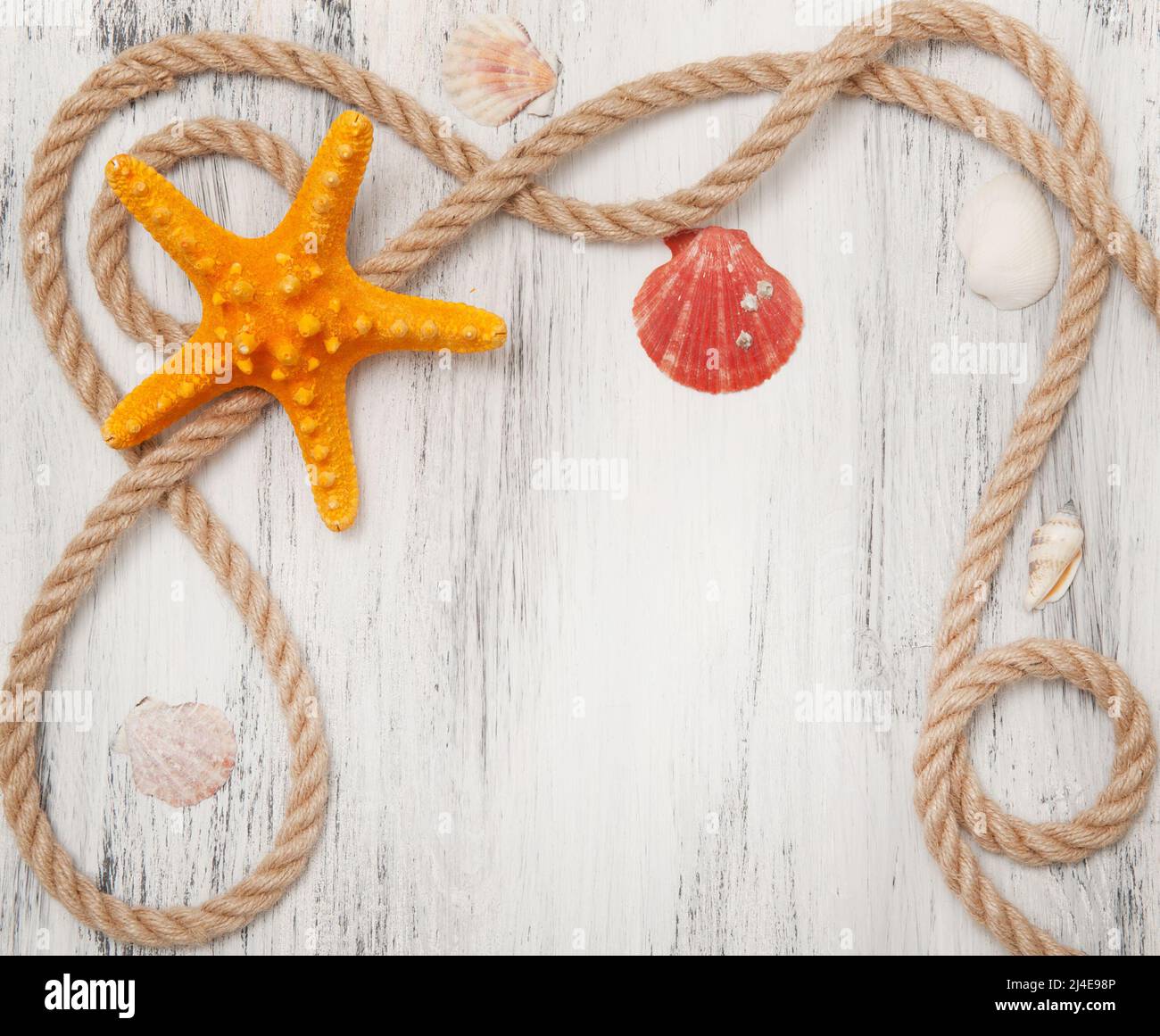 Nautical background with ropes, shells and starfish Stock Photo - Alamy