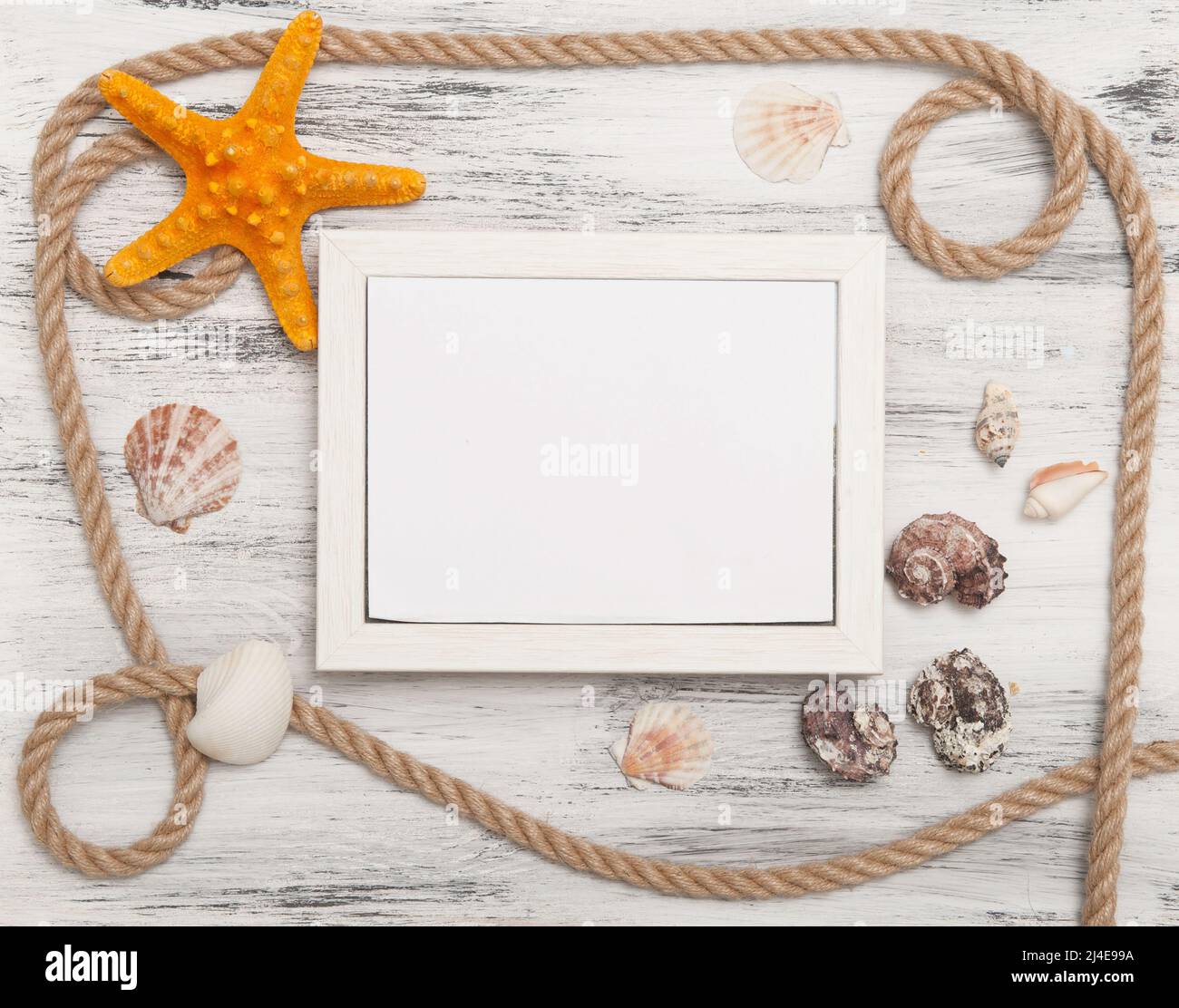 Nautical background with ropes, shells and starfish Stock Photo - Alamy