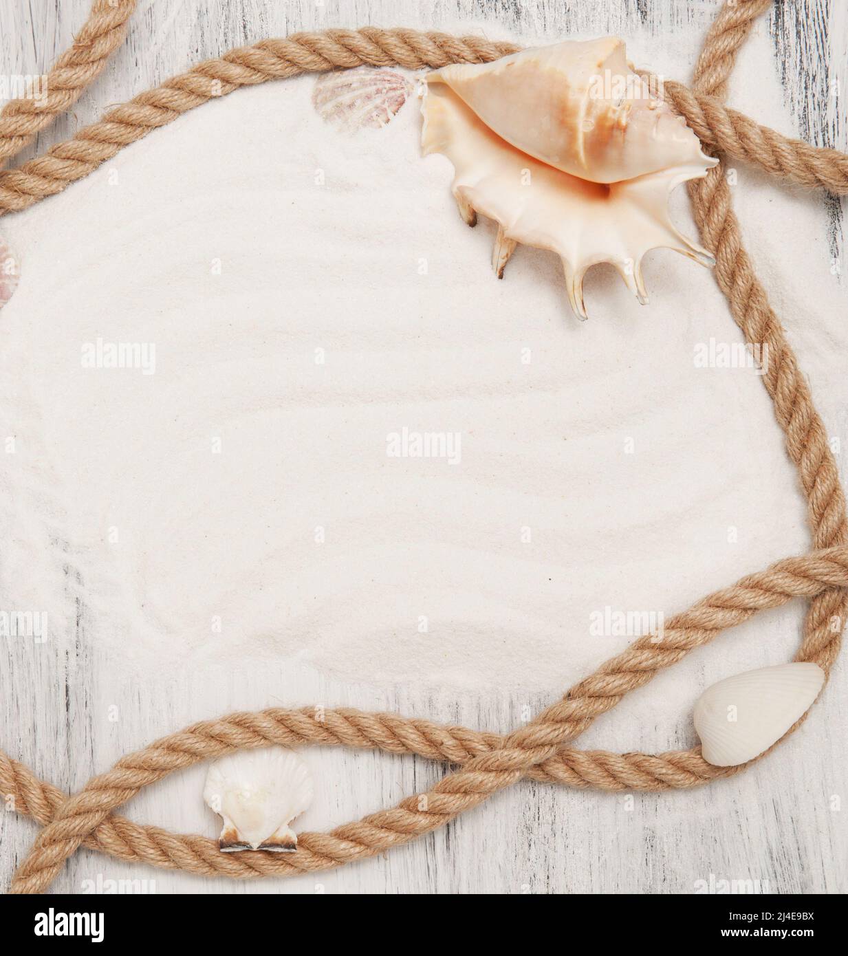 Sea background seashells rope hi-res stock photography and images - Alamy