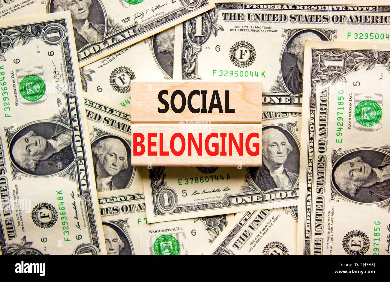 Social belonging symbol. Wooden blocks with concept words Social ...