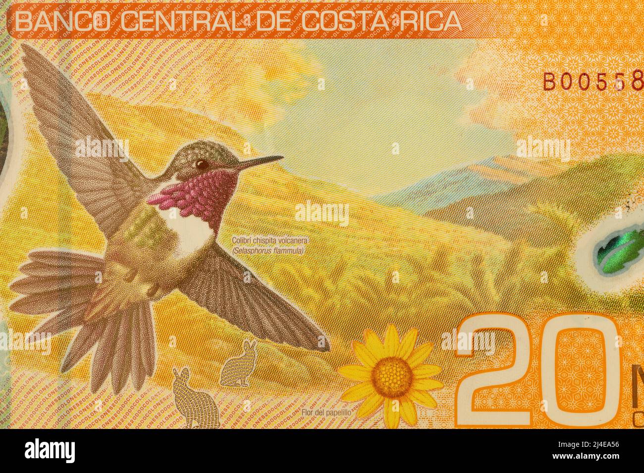 Costa Rica, New Twenty thousand colon banknote, close-up, back of money ...