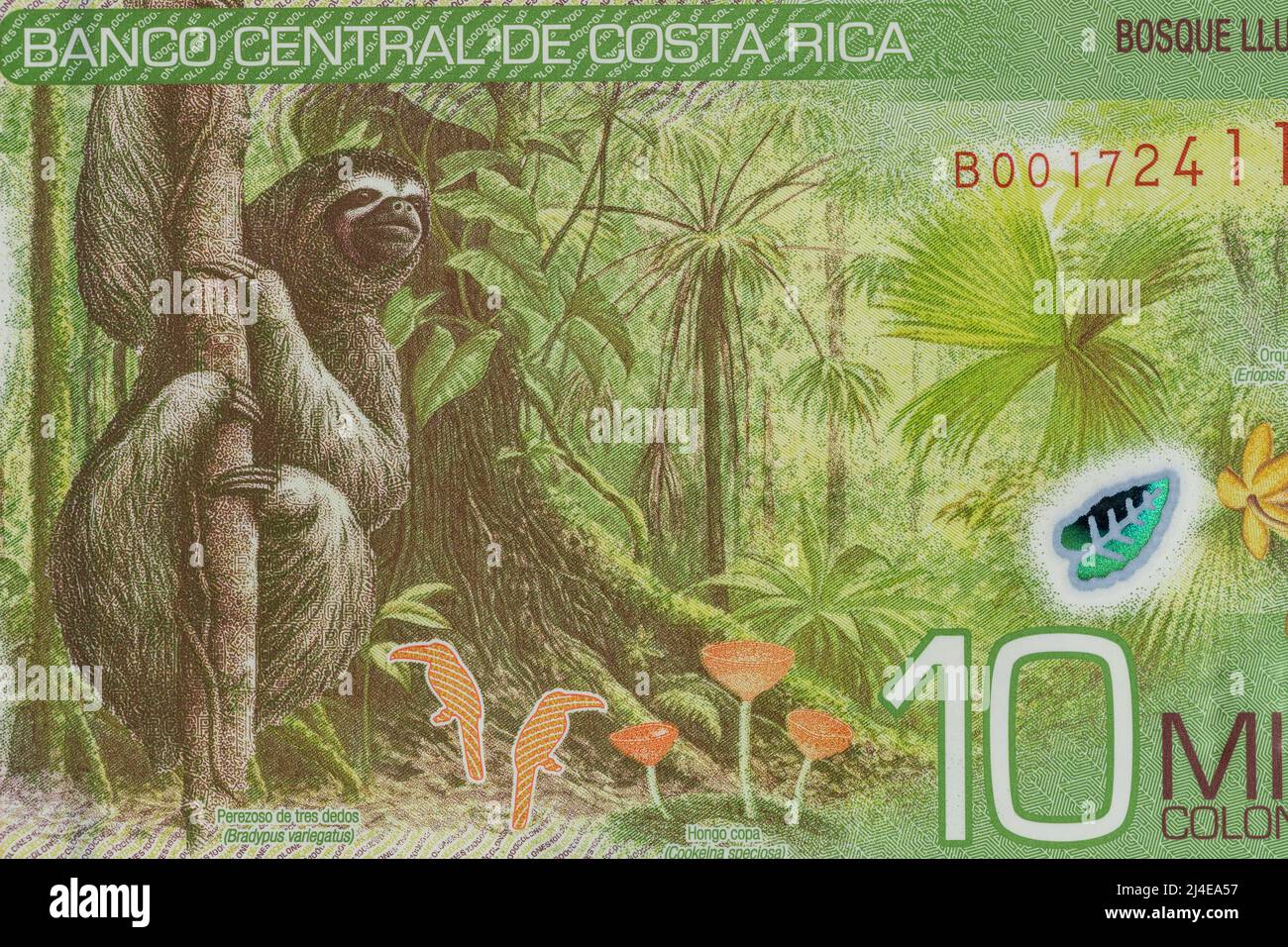 Costa Rica, New Ten thousand colon banknote, close-up, back of money ...