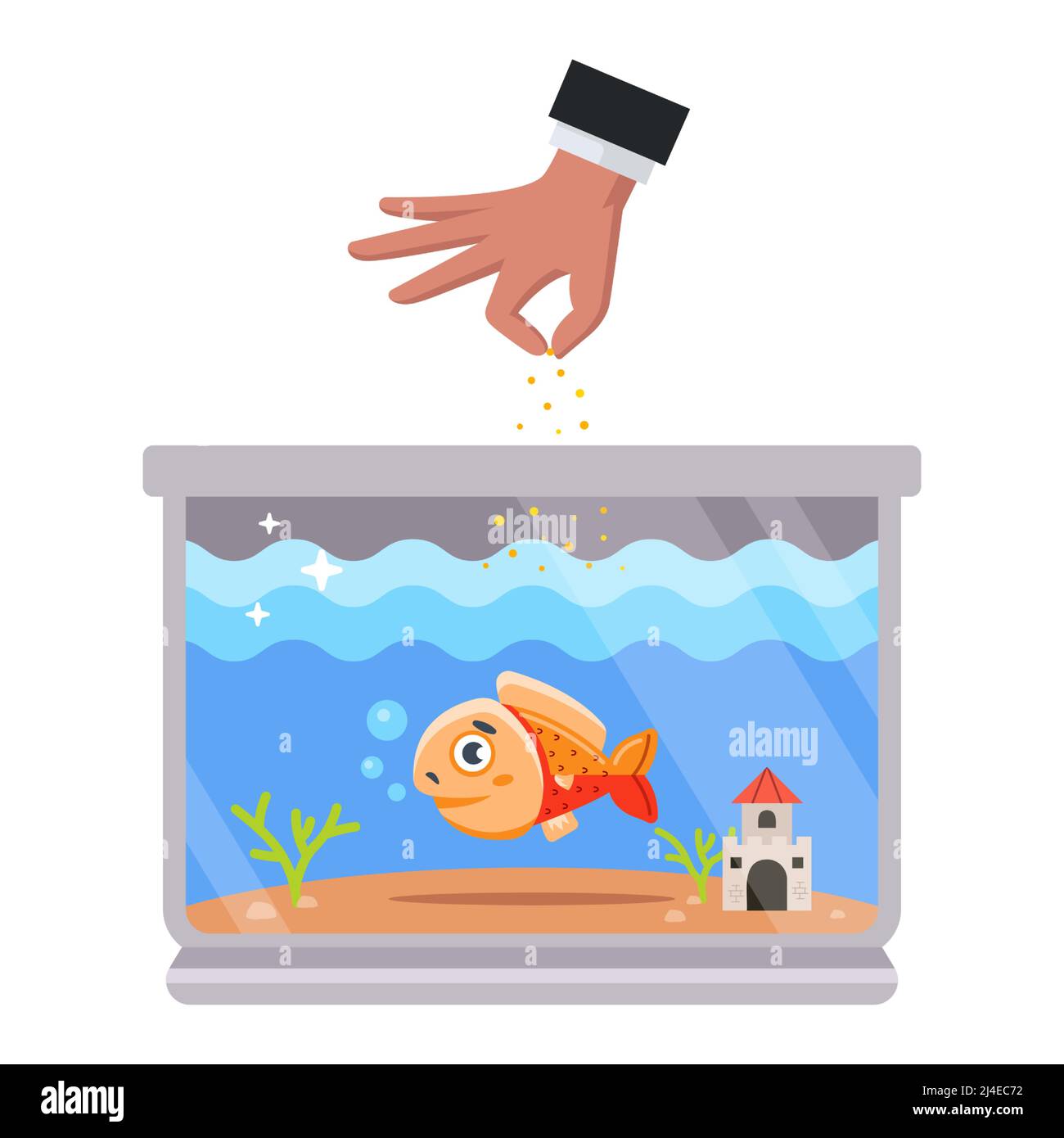 feed food to fish in a rectangular aquarium. domestic water pet. flat ...